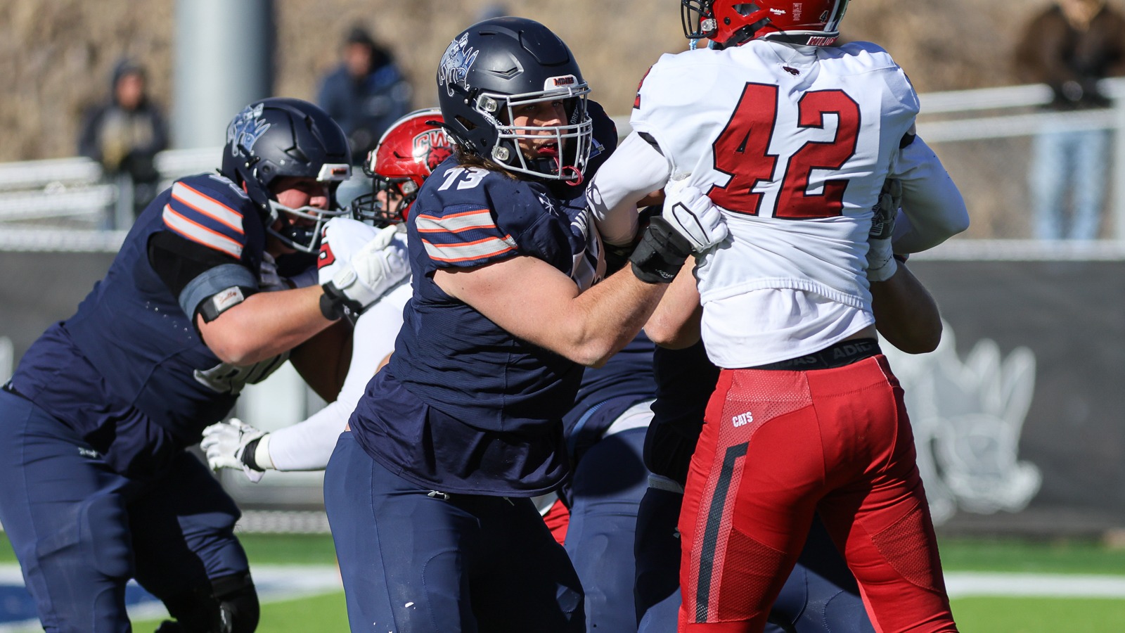 Levi Johnson - Football - Colorado School of Mines Athletics
