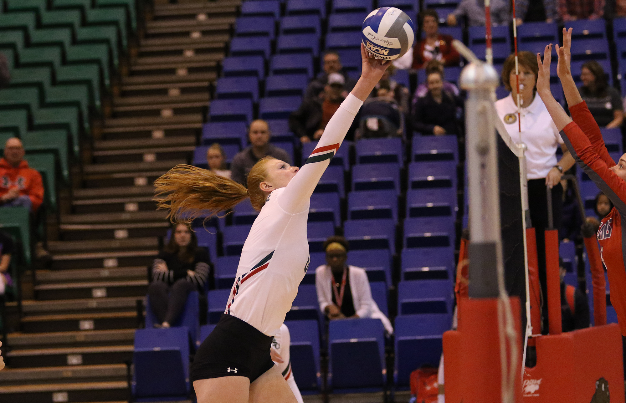 Hayley Swain - Women's Volleyball - MSU Athletics