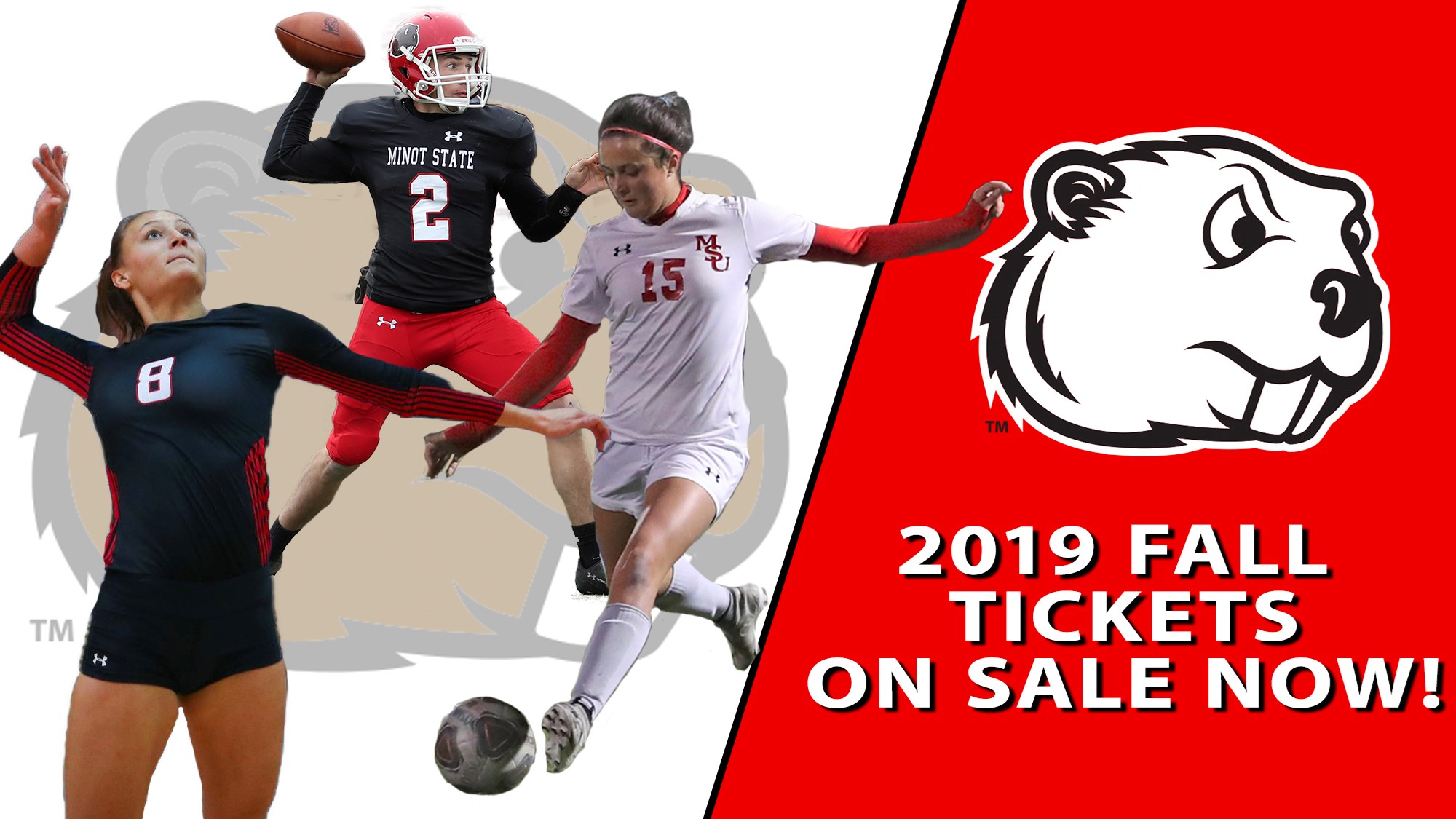2019 Fall Season/Game Tickets On Sale - MSU Athletics