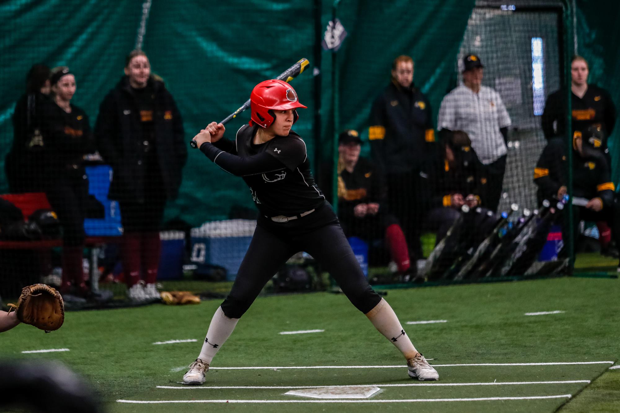 Kilee Fehd - Softball - MSU Athletics