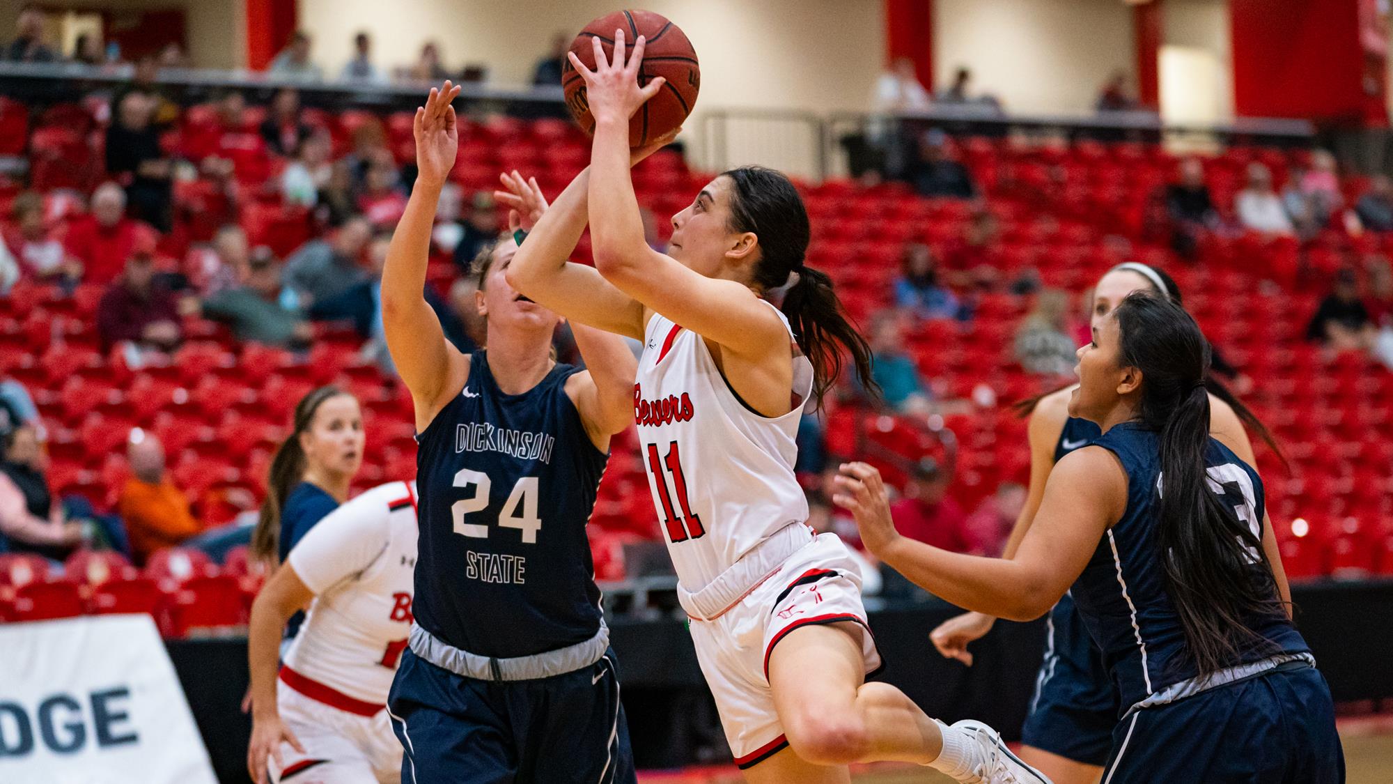 Kate Head - Women's Basketball - MSU Athletics