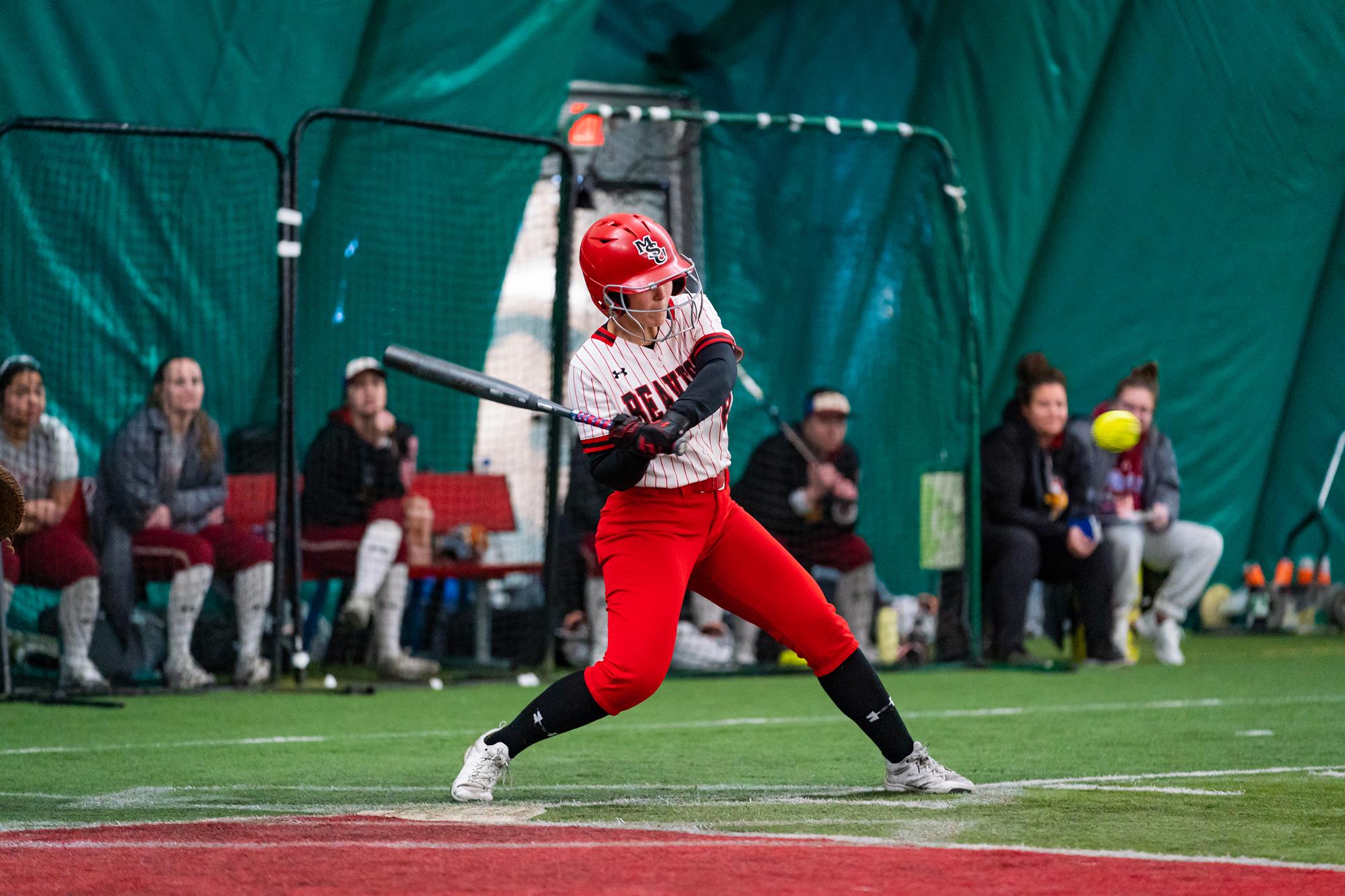 Kilee Fehd - Softball - MSU Athletics