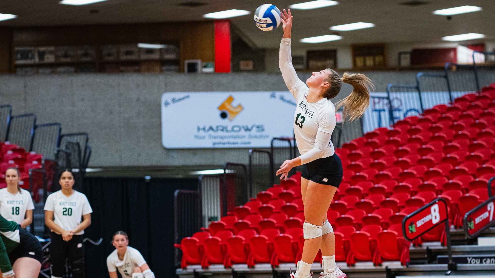Ammerman registers triple-double in Beavers 3-1 loss to Minnesota State ...