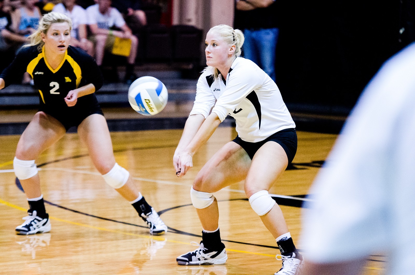 Holly Pollock - 2014 - Volleyball - Missouri Western State University ...