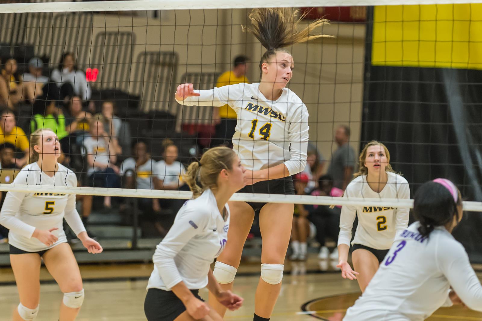 Rachel Losch - 2018 - Volleyball - Missouri Western State University ...