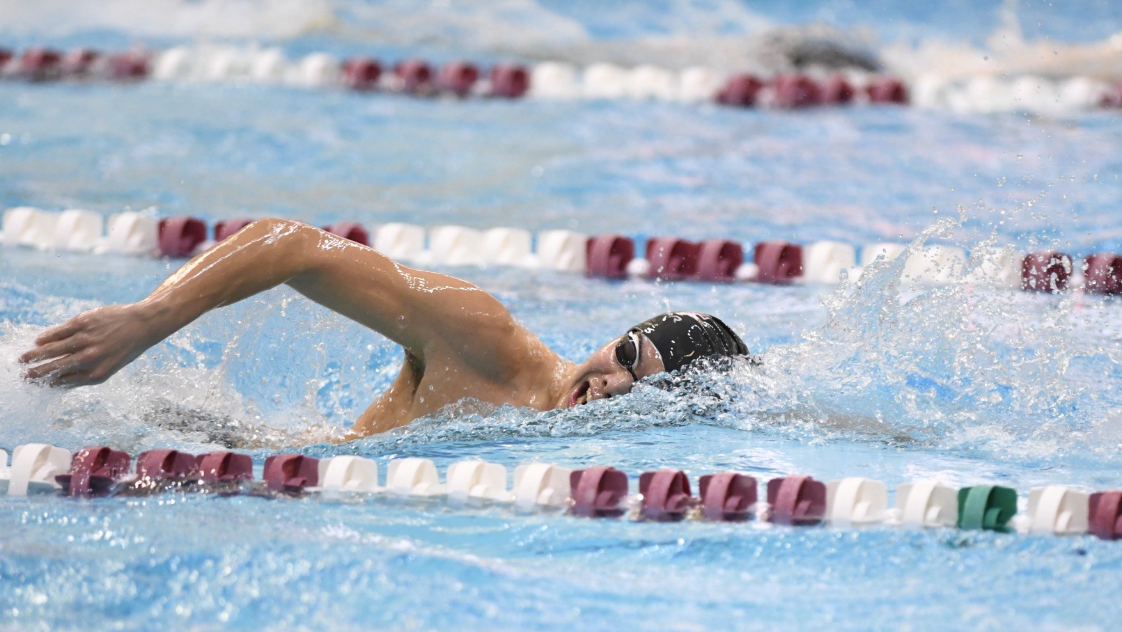 Jaden Luo - 2023-24 - Men's Swimming and Diving - Massachusetts Institute of Technology