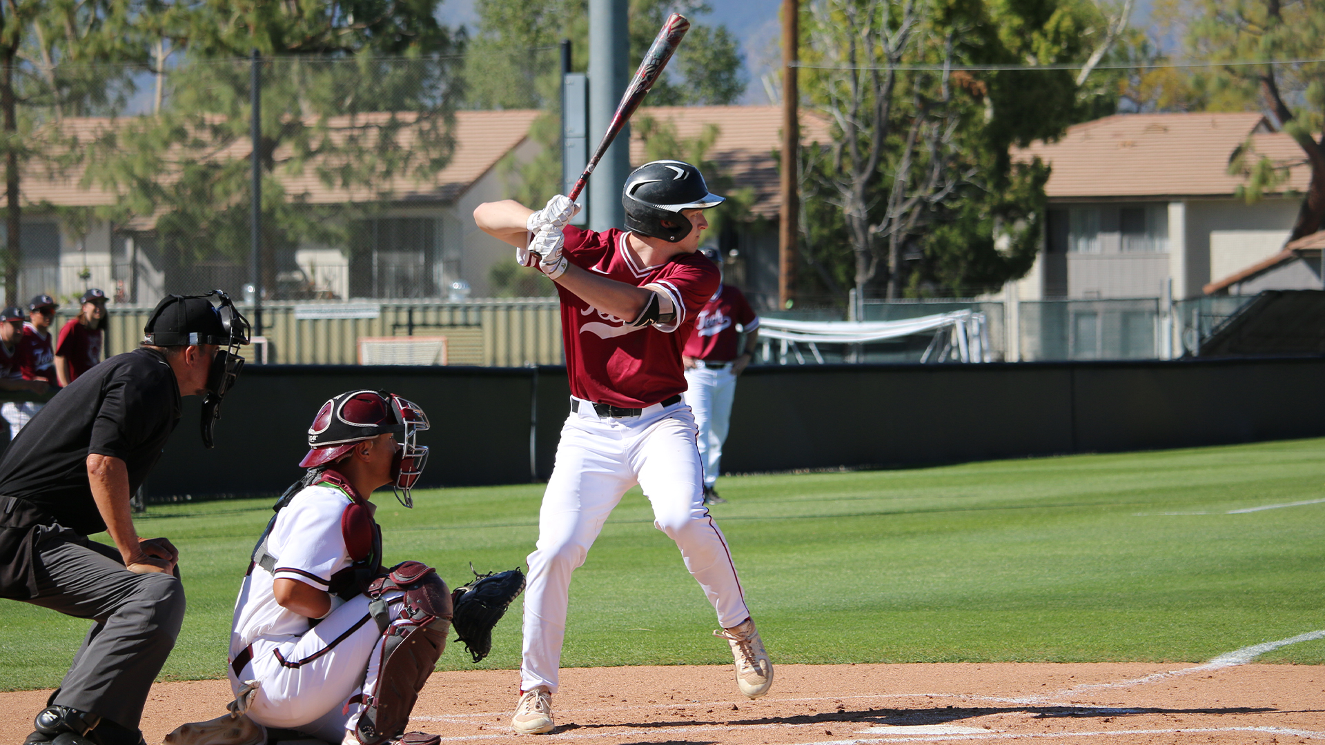 Michael Finch - 2024 - Baseball - Massachusetts Institute of Technology