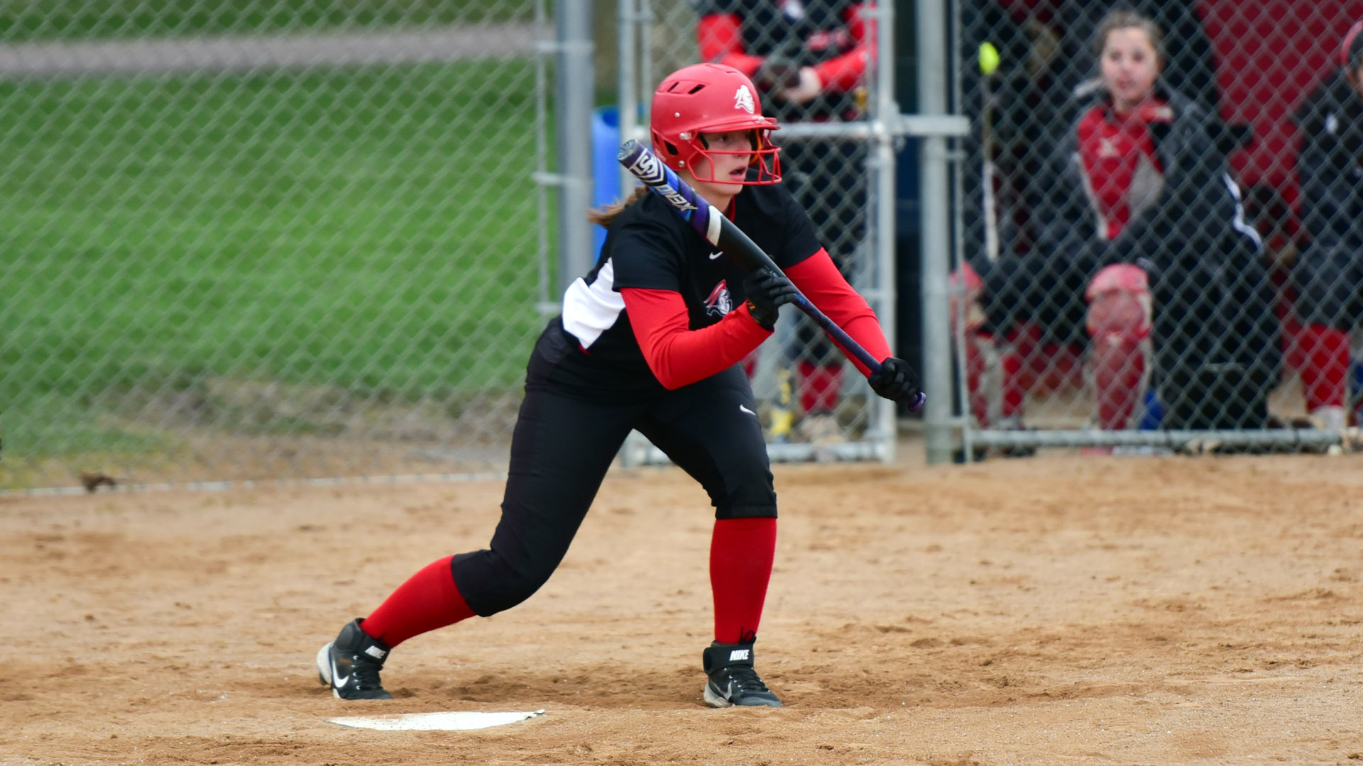Lisa Hoffer - 2024 - Softball - Martin Luther College Athletics