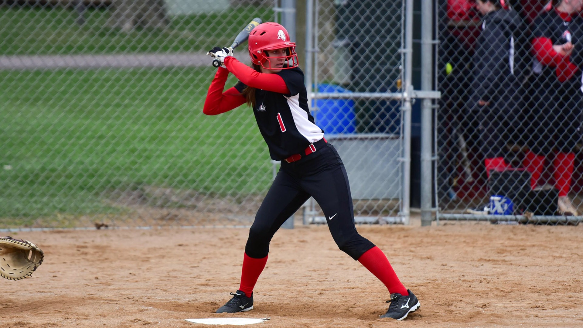 Softball Drops Opening Games of Spring Break Trip - Martin Luther ...