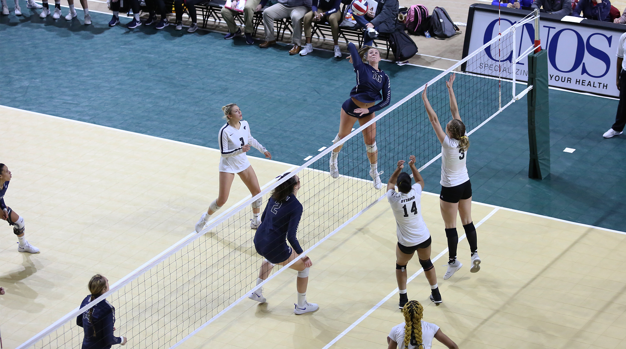 Mallory Moran - Women's Volleyball - MBU Athletics