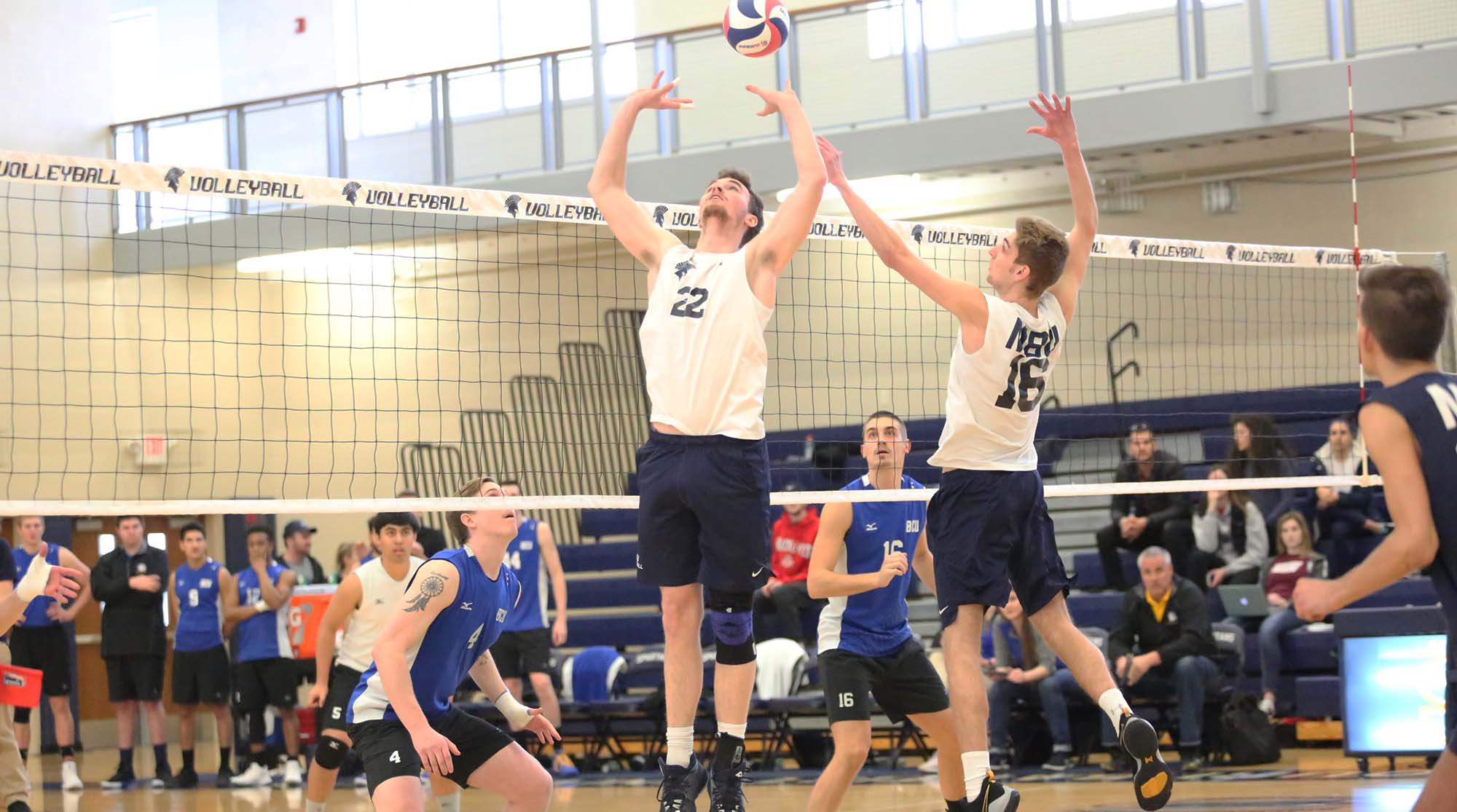 Kyle Foley - Men's Volleyball - MBU Athletics
