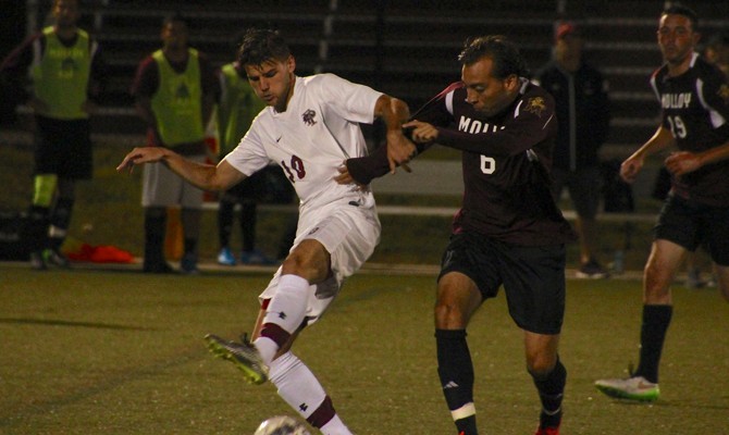 Lucio Sorto - Men's Soccer - Molloy University Athletics