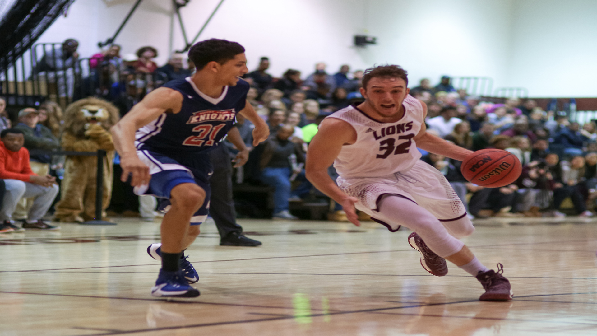 Charlie Marquardt - Men's Basketball - Molloy University Athletics