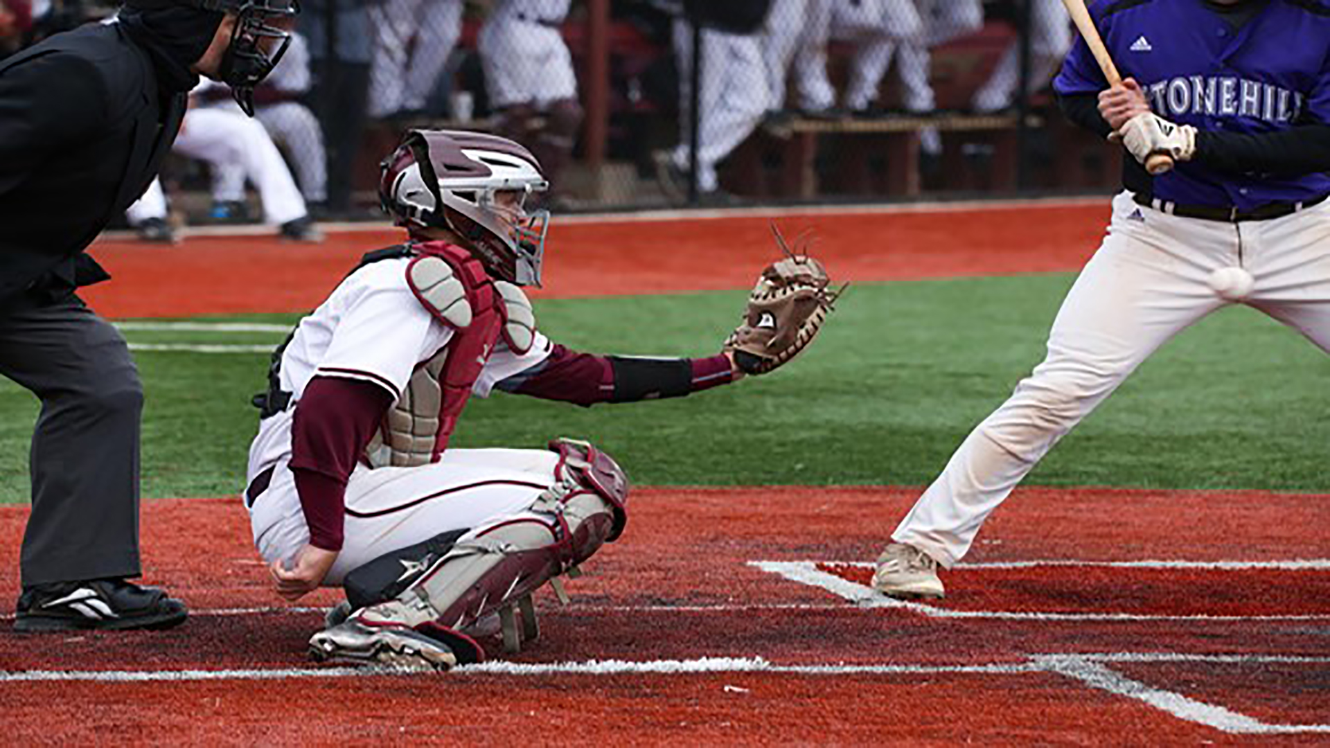 Jack McCarty - Baseball - Molloy University Athletics