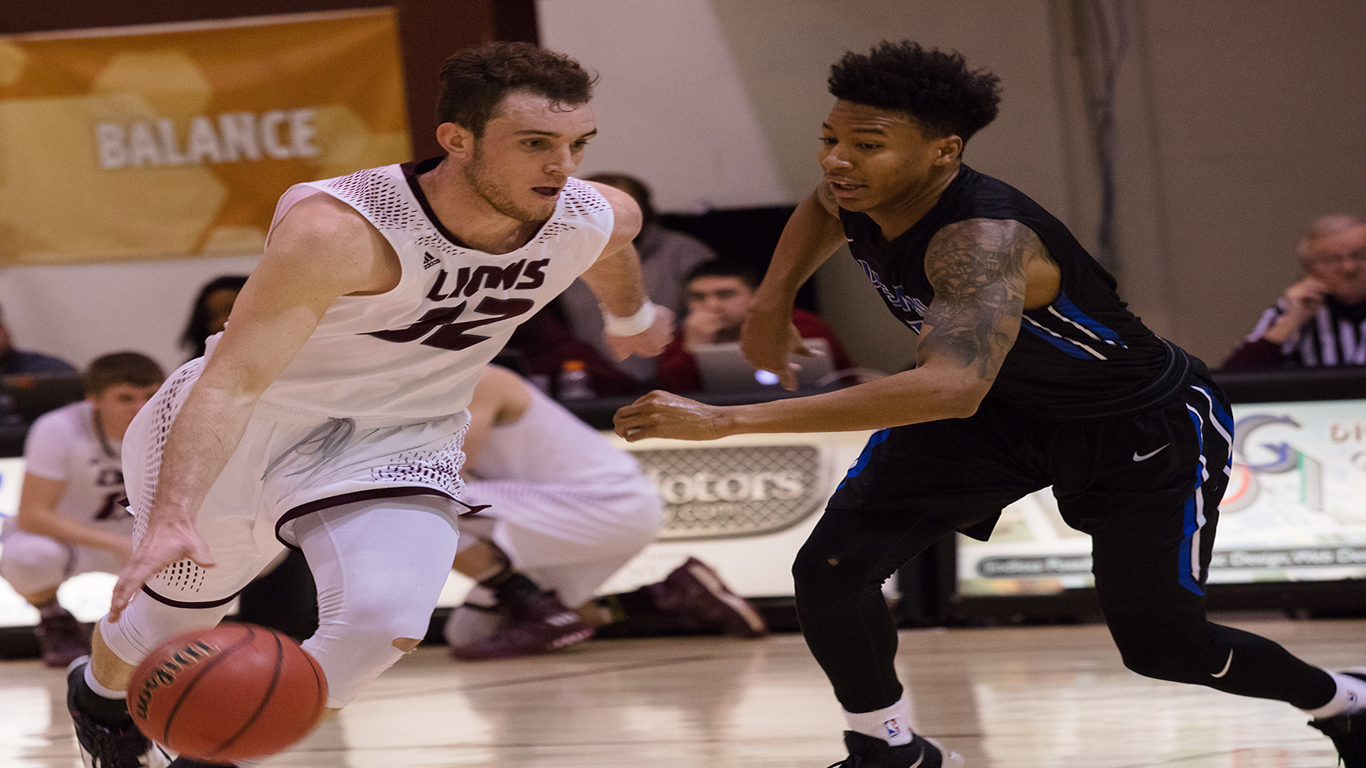 Charlie Marquardt - Men's Basketball - Molloy University Athletics