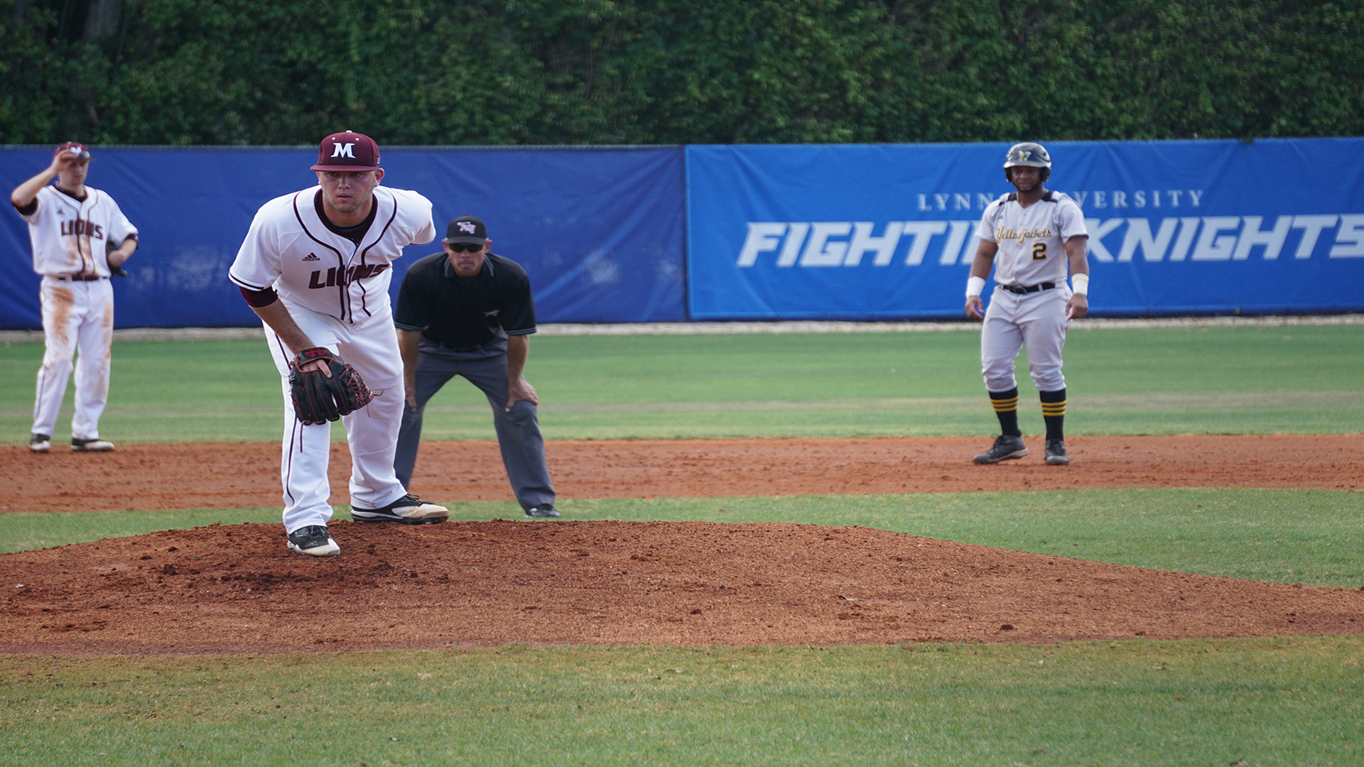 Bobby Kelly - Baseball - Molloy University Athletics