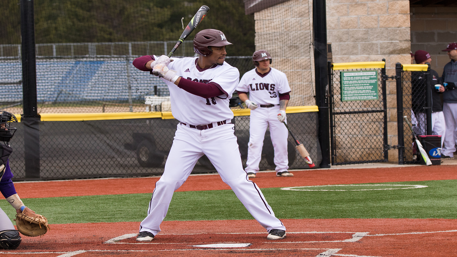 Elijah Leerdam - Baseball - Molloy University Athletics
