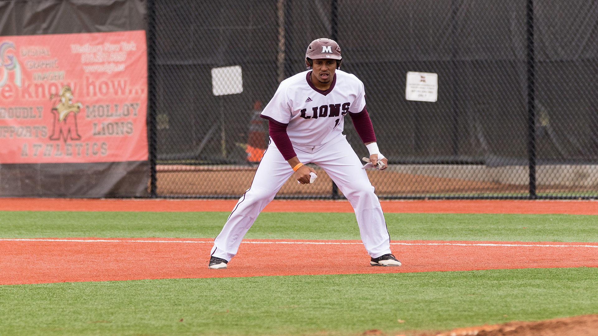 Elijah Leerdam - Baseball - Molloy University Athletics