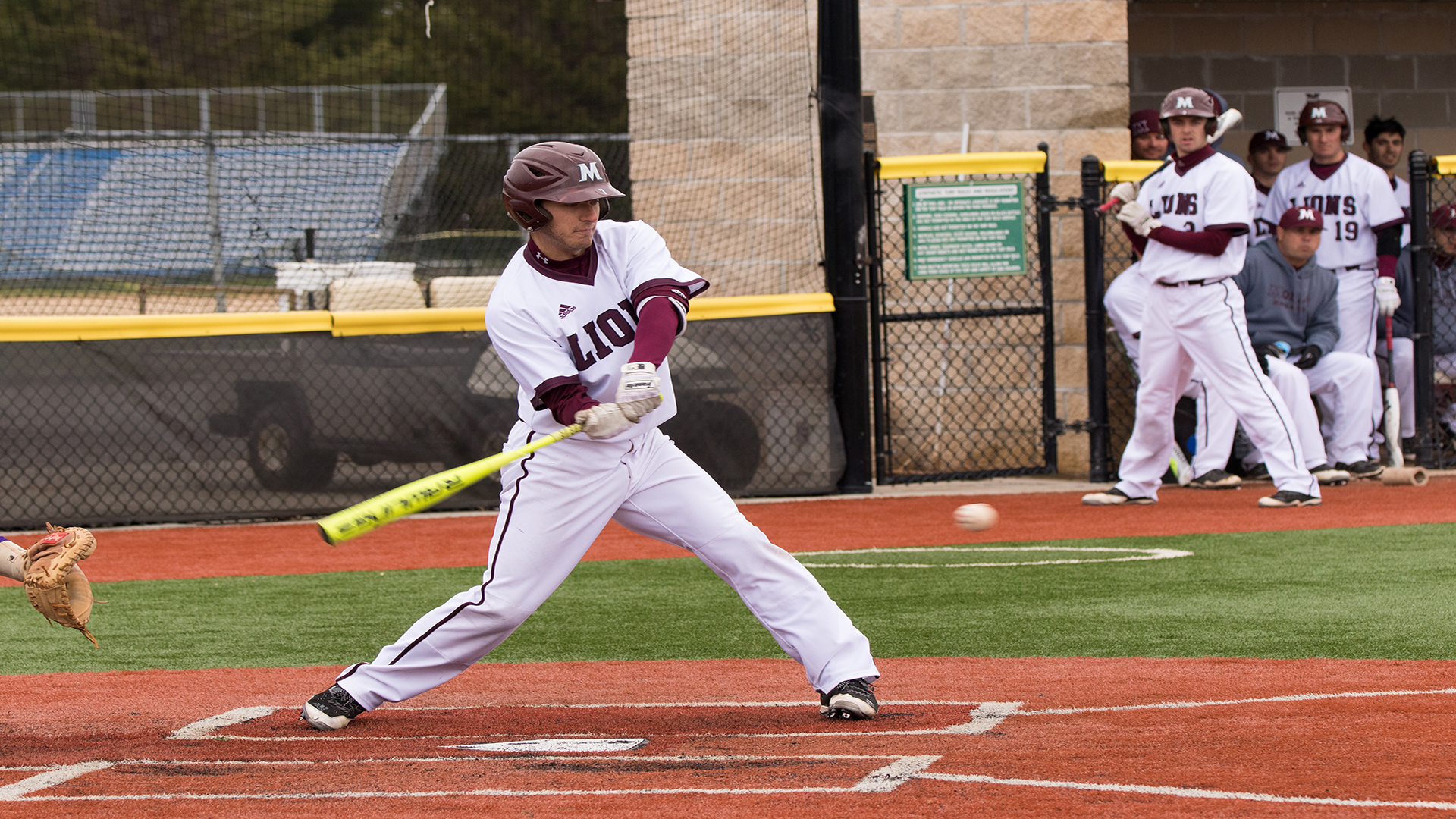 Jack McCarty - Baseball - Molloy University Athletics