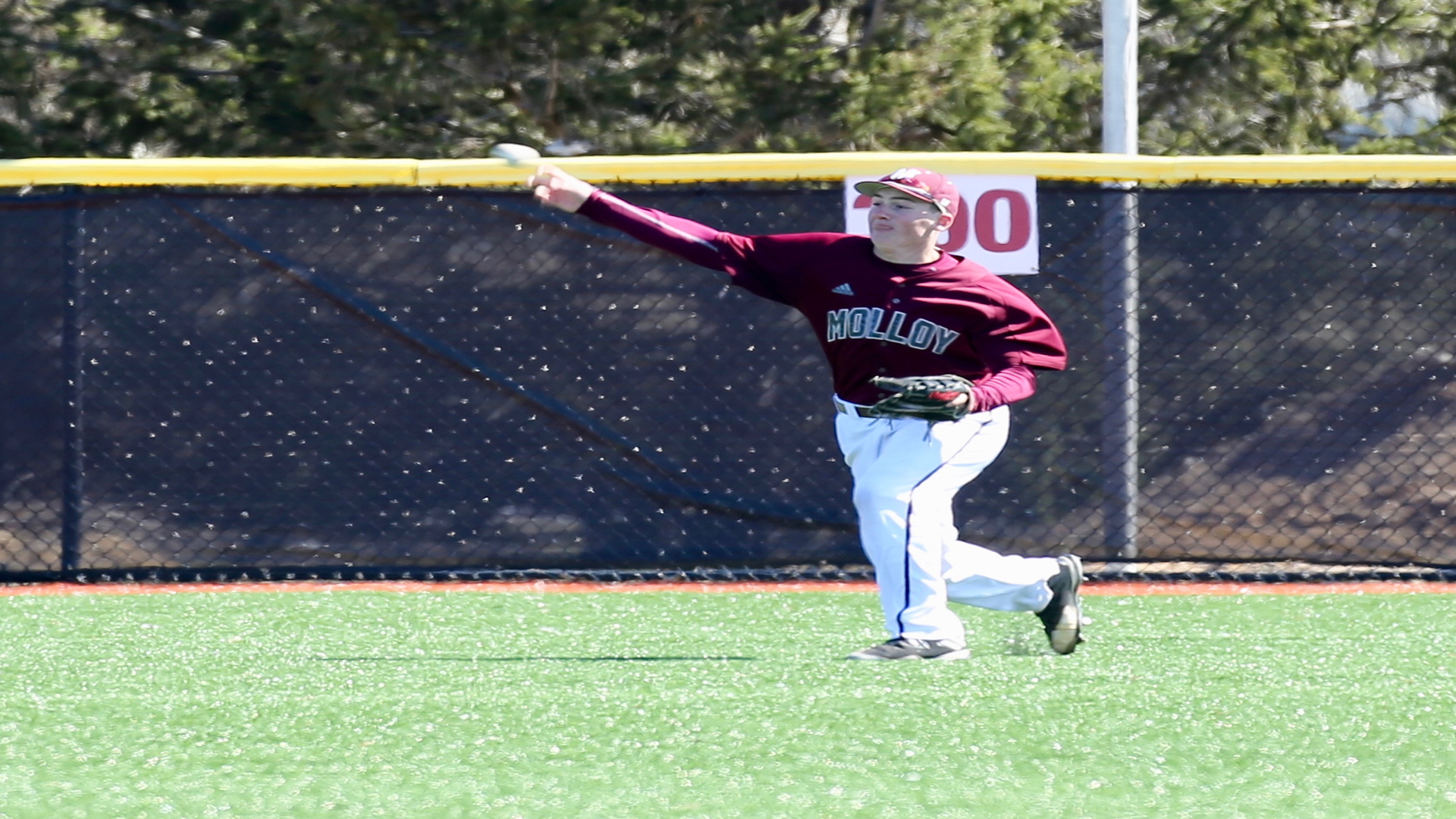 Baseball Slips to Le Moyne, 6-5 - Molloy University Athletics