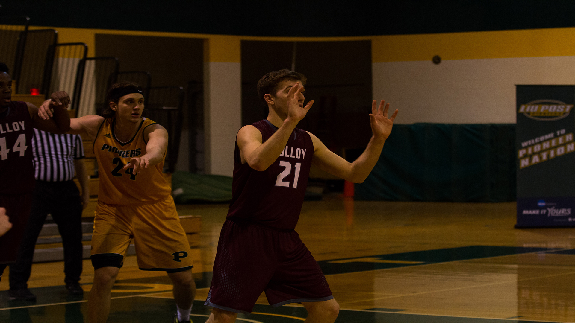 Nolan Kelly - Men's Basketball - Molloy University Athletics