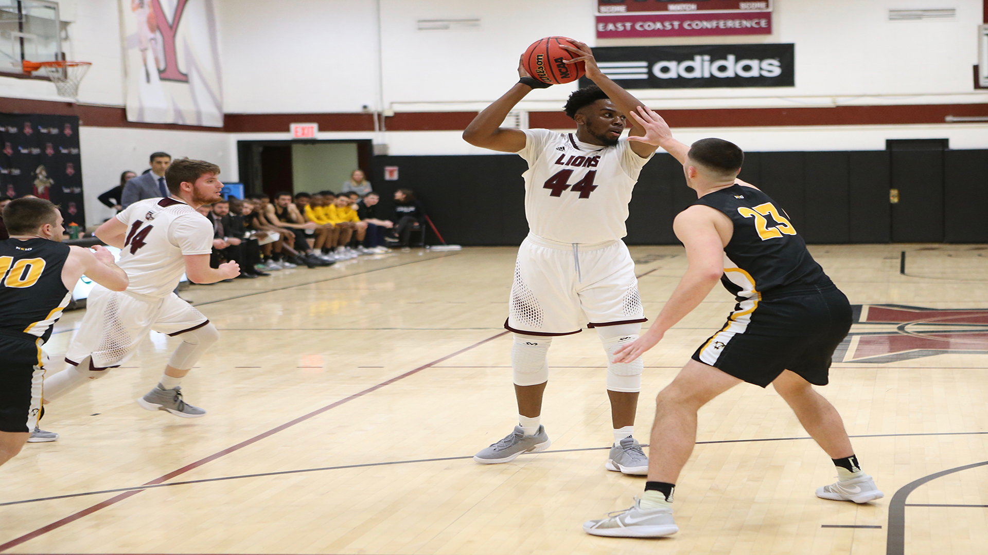 Justin Caldwell - Men's Basketball - Molloy University Athletics