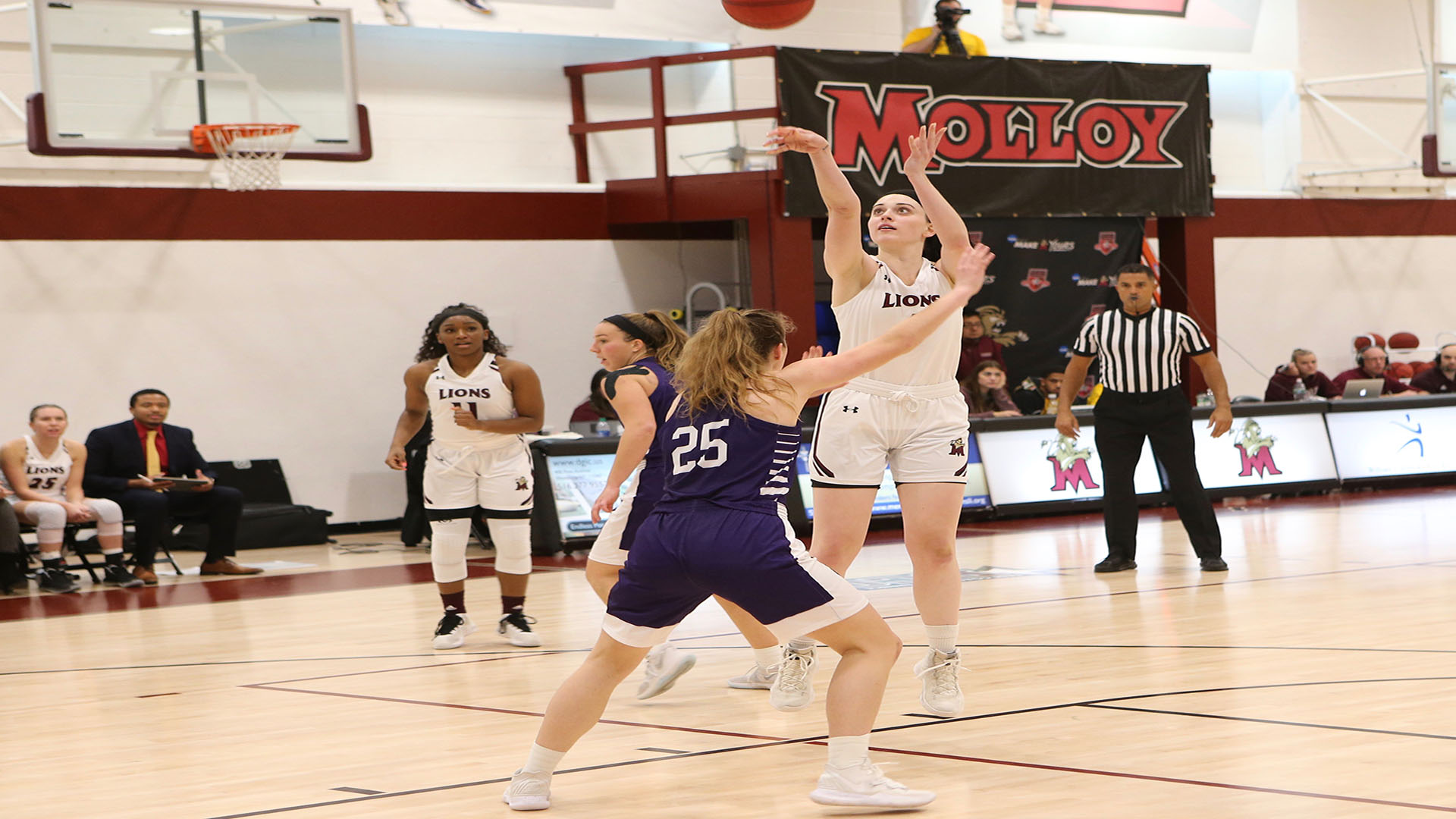 Jenna Silletti - Women's Basketball - Molloy University Athletics