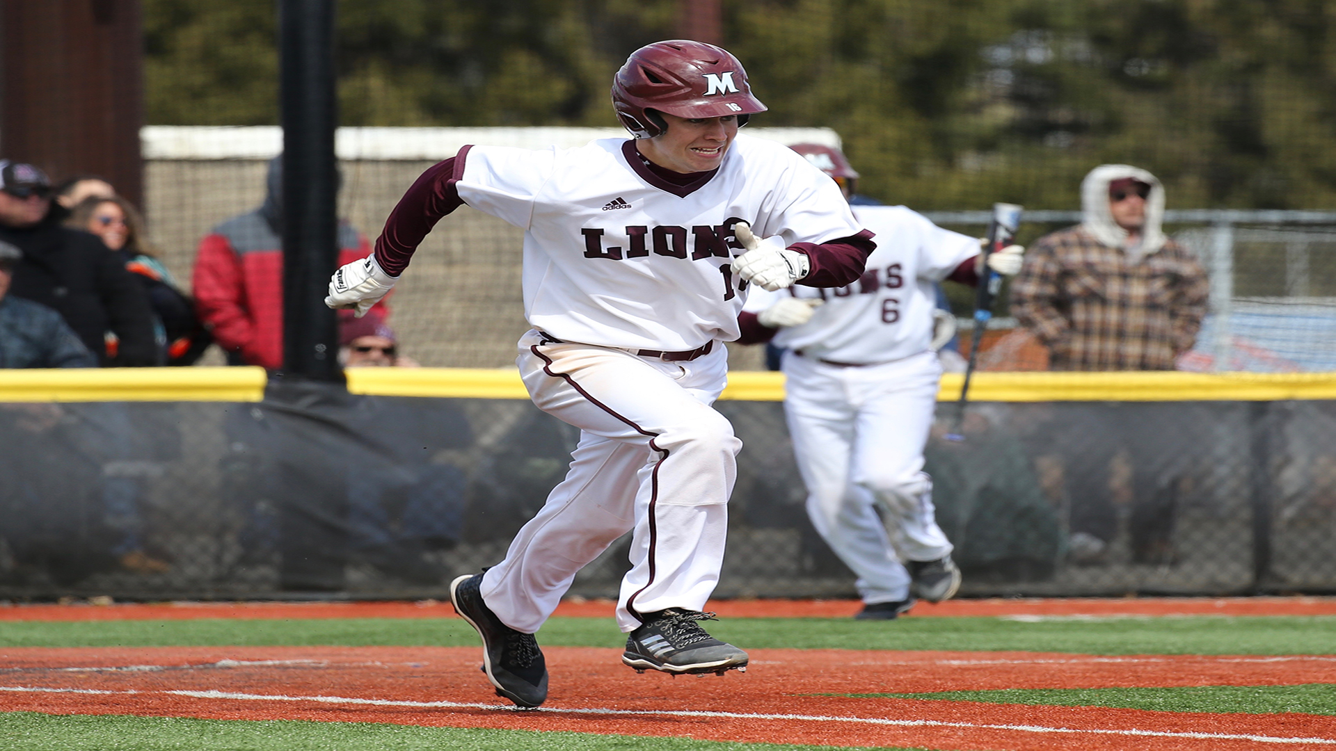 James Messina - Baseball - Molloy University Athletics