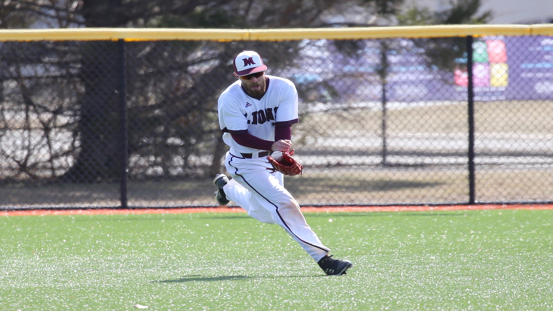 Jake Saltzman - Baseball - Molloy University Athletics