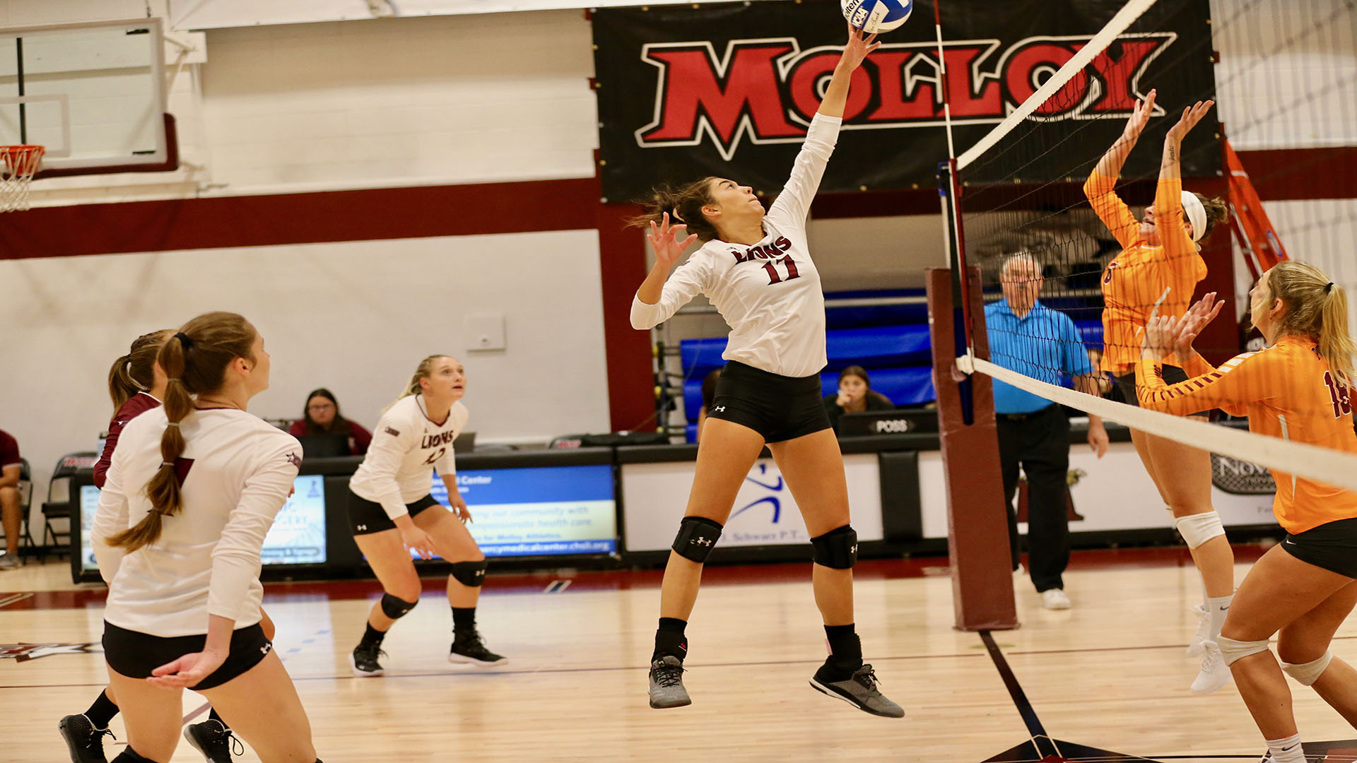 Devon Hagerstrom - Women's Volleyball - Molloy University Athletics