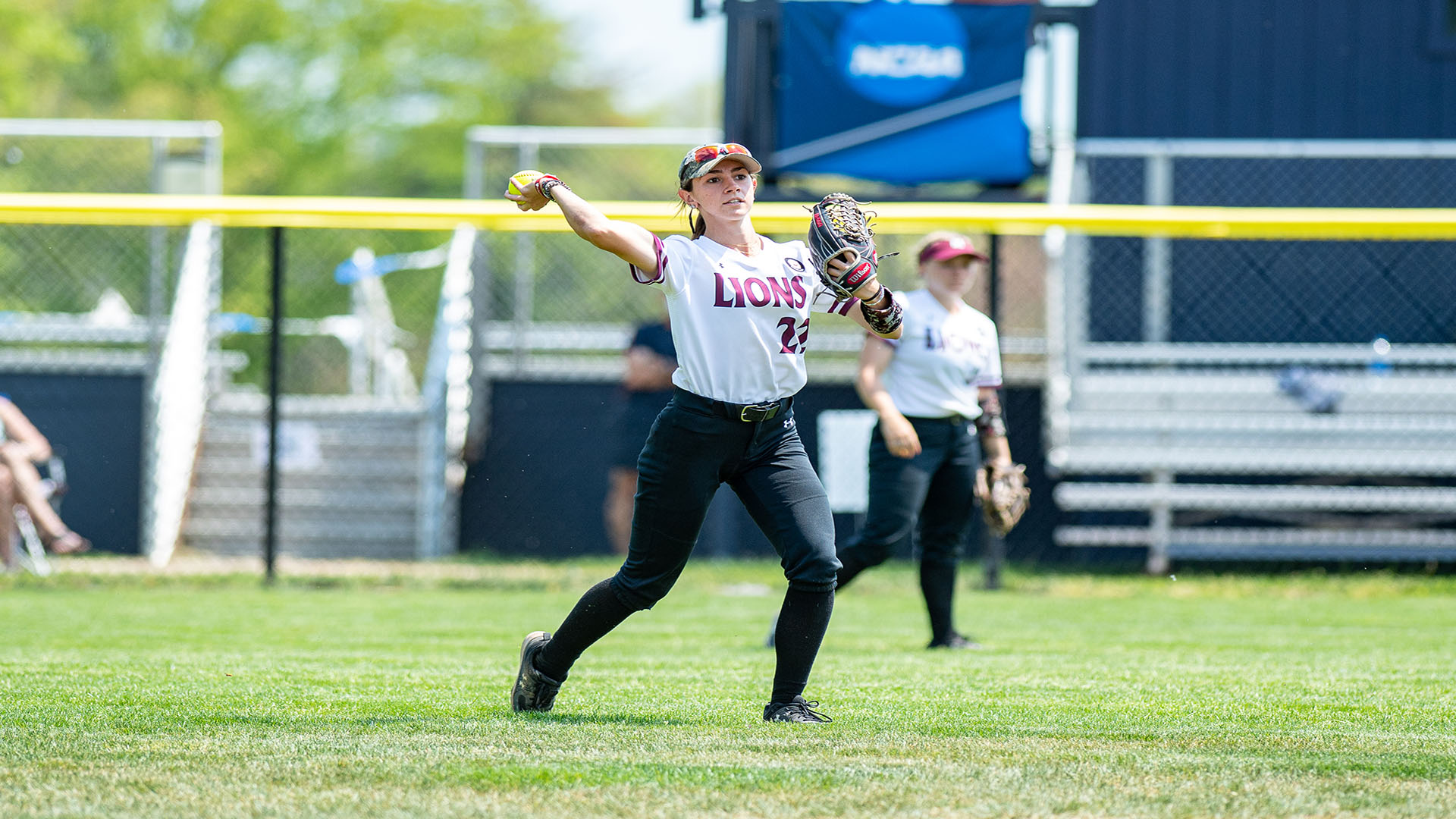 Softball Blanks Saint Michael's, 3-0 - Molloy University Athletics