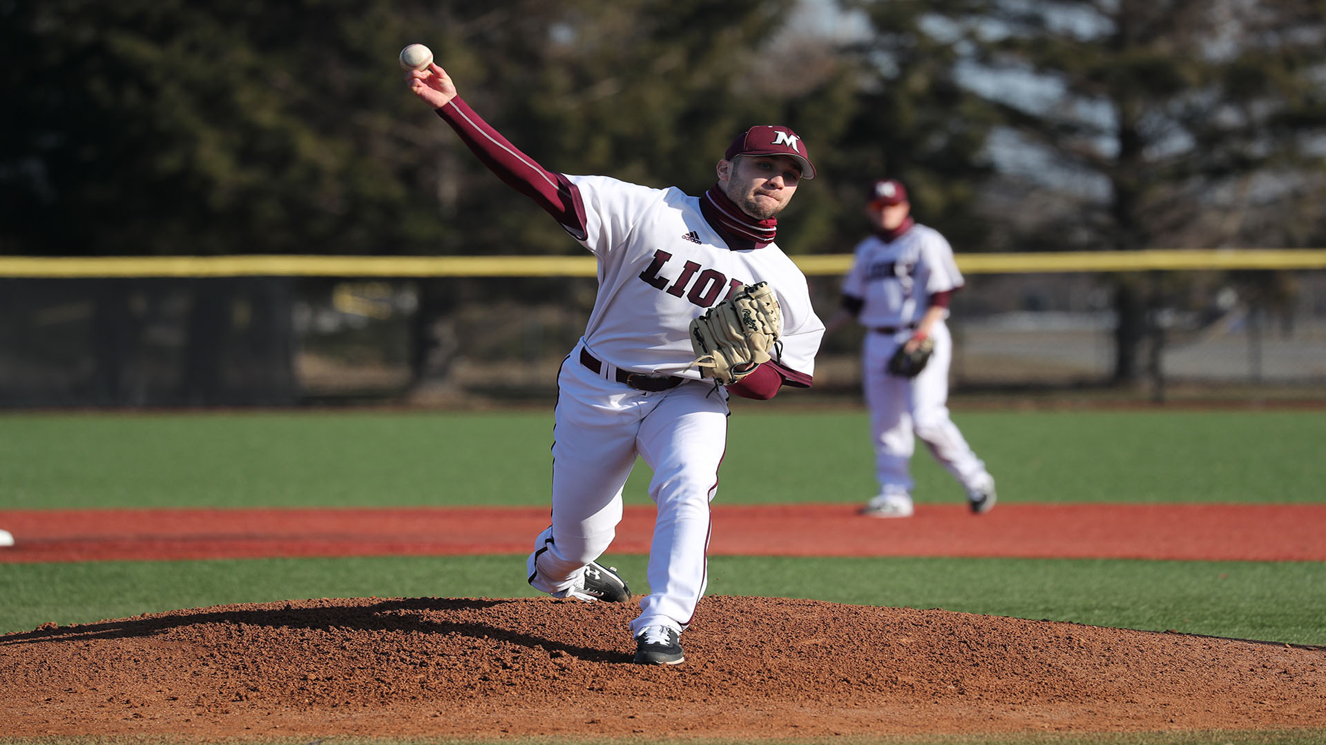 Joe Minucci - Baseball - Molloy University Athletics