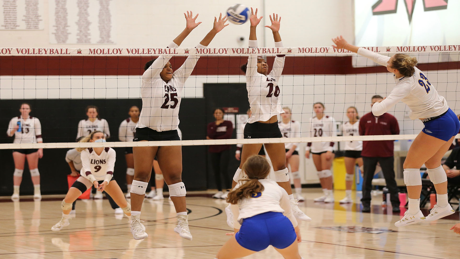 Roth Tallies Double Digits in Volleyball Split at Molloy Tri-Match ...
