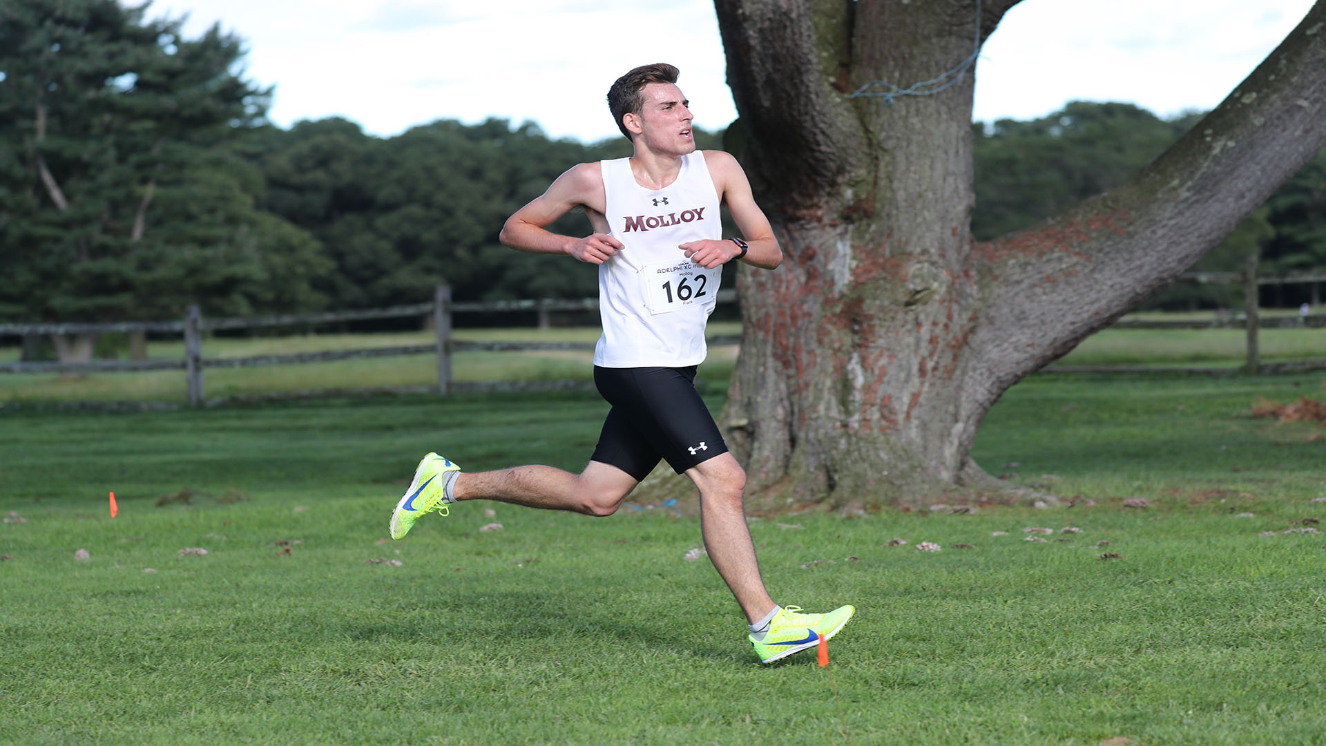 Frank Ferrante - Men's Cross Country - Molloy University Athletics