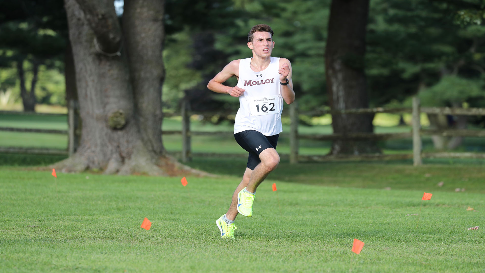 Frank Ferrante - Men's Cross Country - Molloy University Athletics
