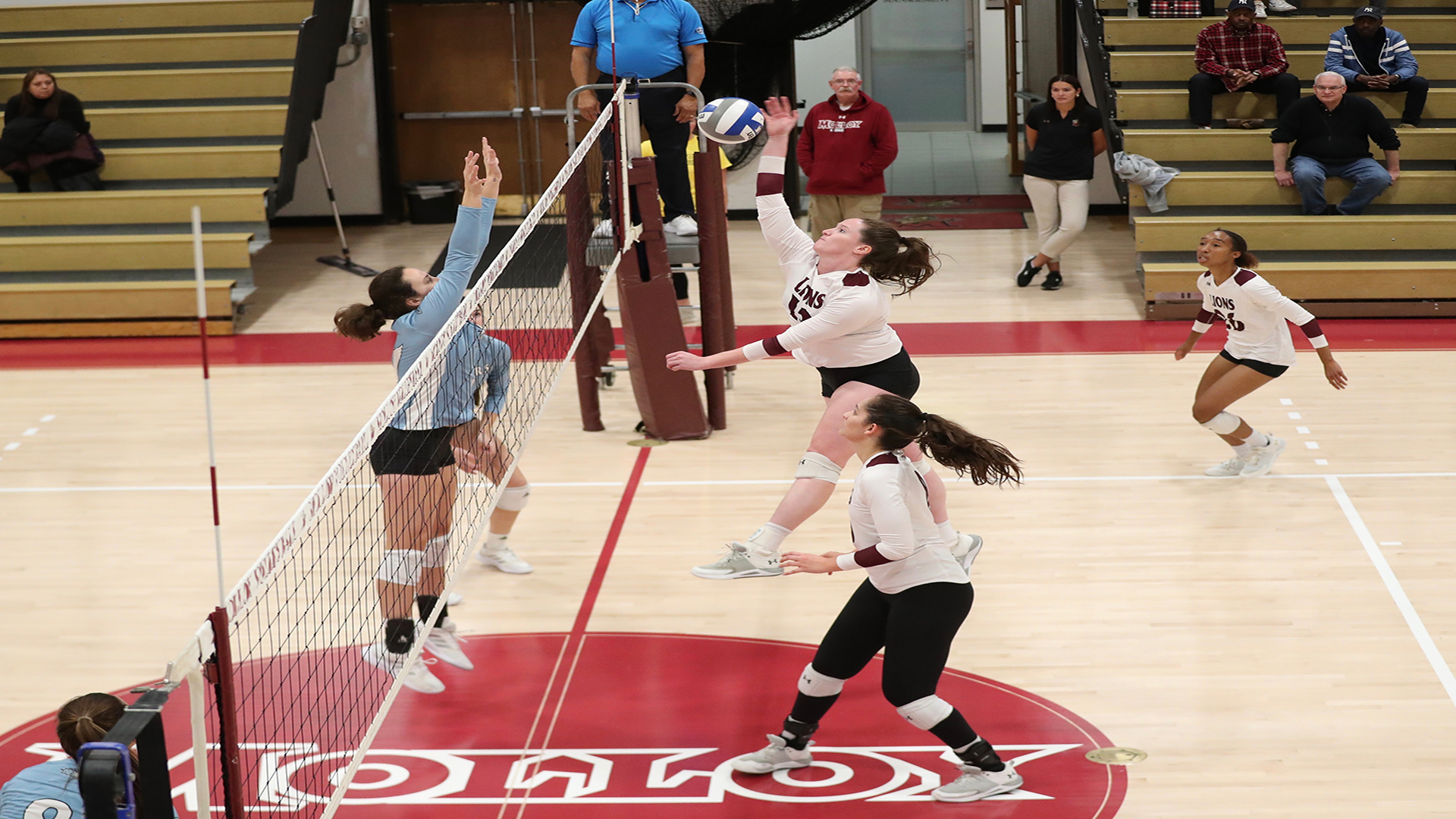 Colleen Moulder - Women's Volleyball - Molloy University Athletics