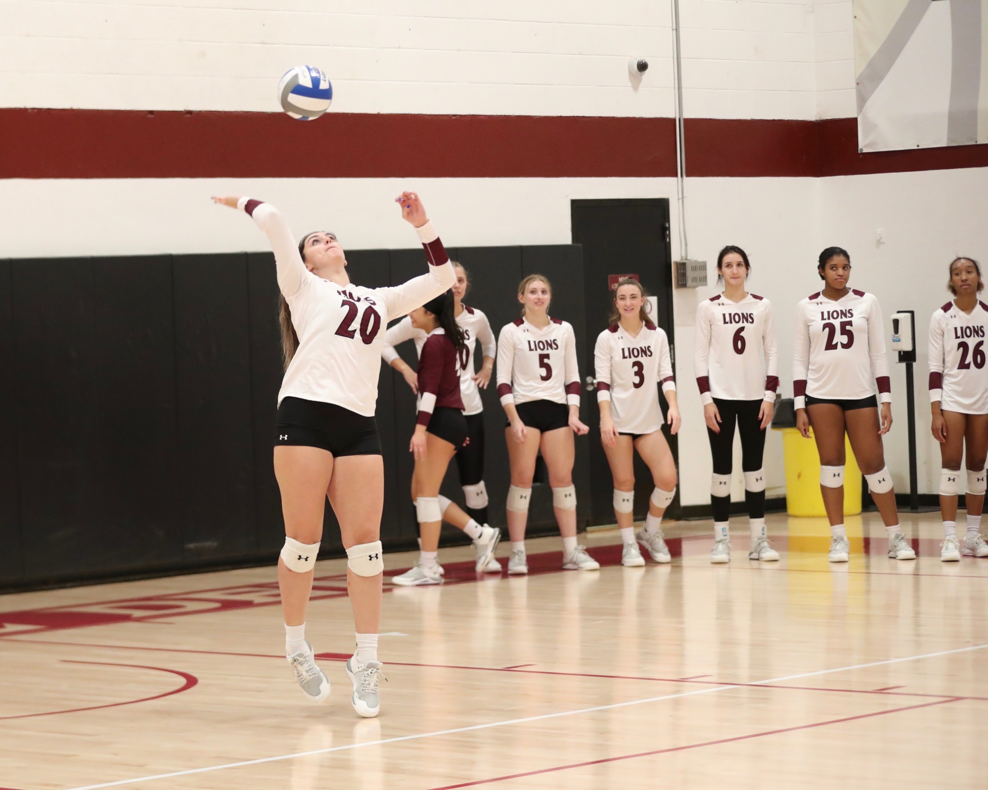 Madison Wakely - Women's Volleyball - Molloy University Athletics