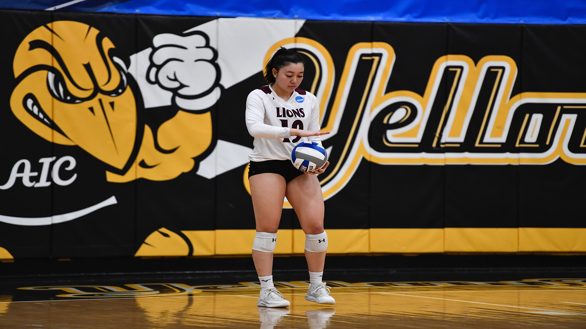 Maya Akana - Women's Volleyball - Molloy University Athletics