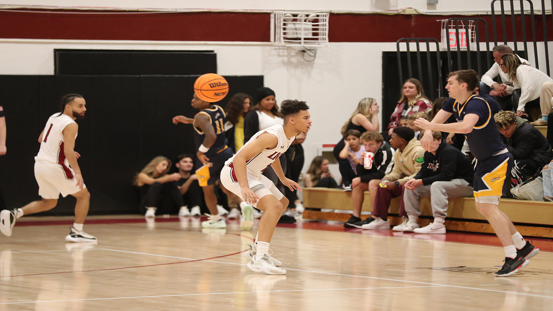 Dashaun Warren - Men's Basketball - Molloy University Athletics