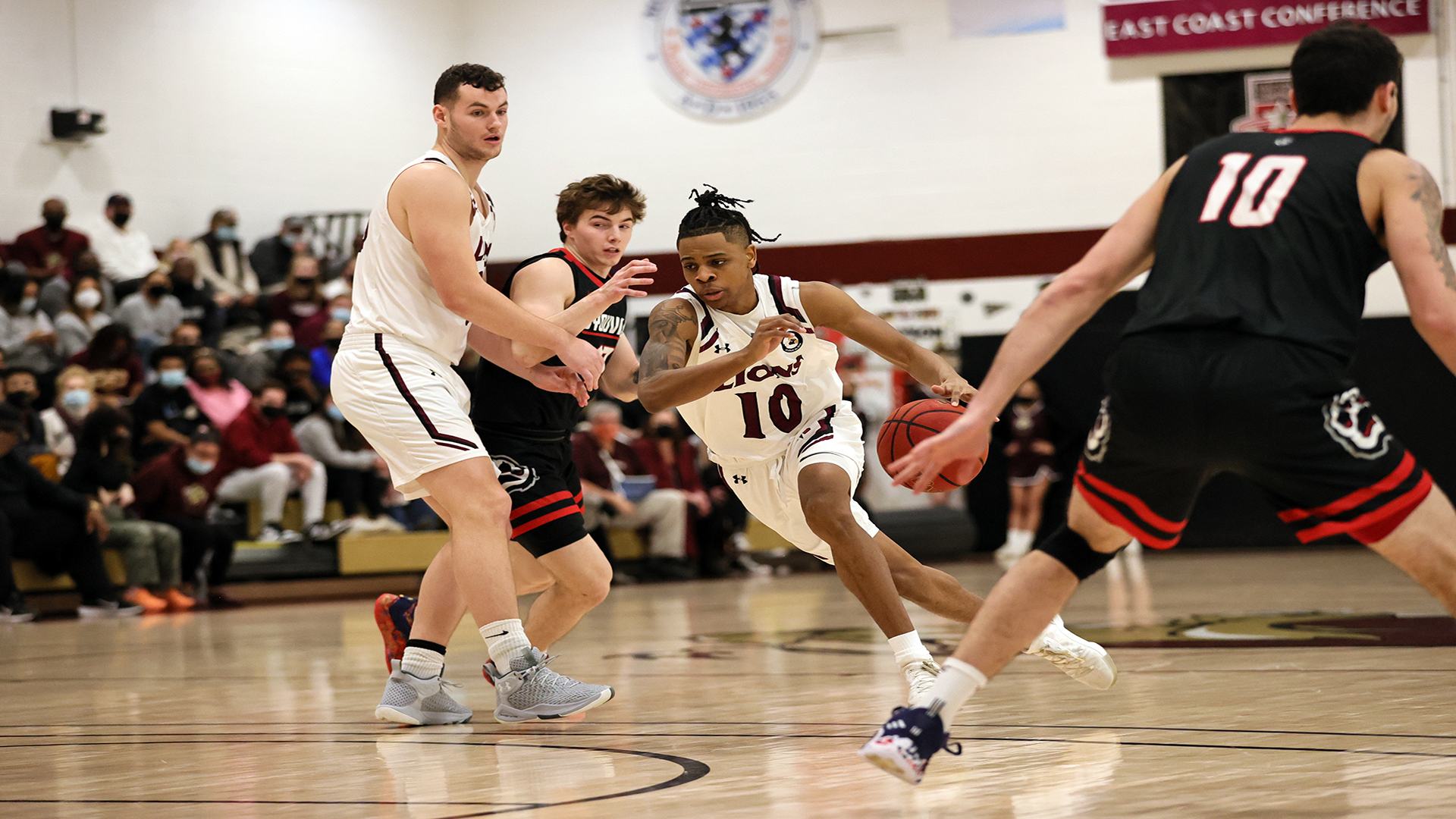 Two Net 20 Points in Men's Basketball Loss to Adelphi - Molloy ...