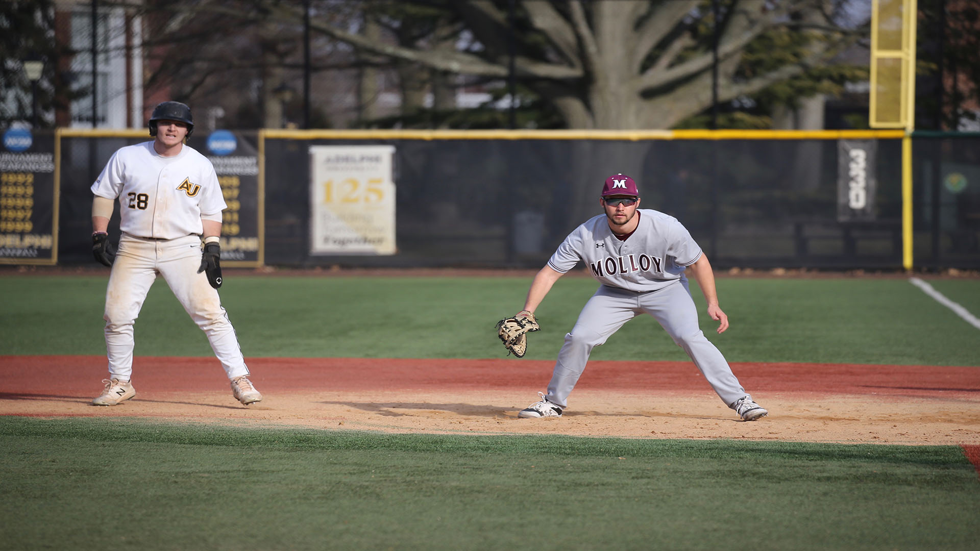 Patrick Hoffman - Baseball - Molloy University Athletics