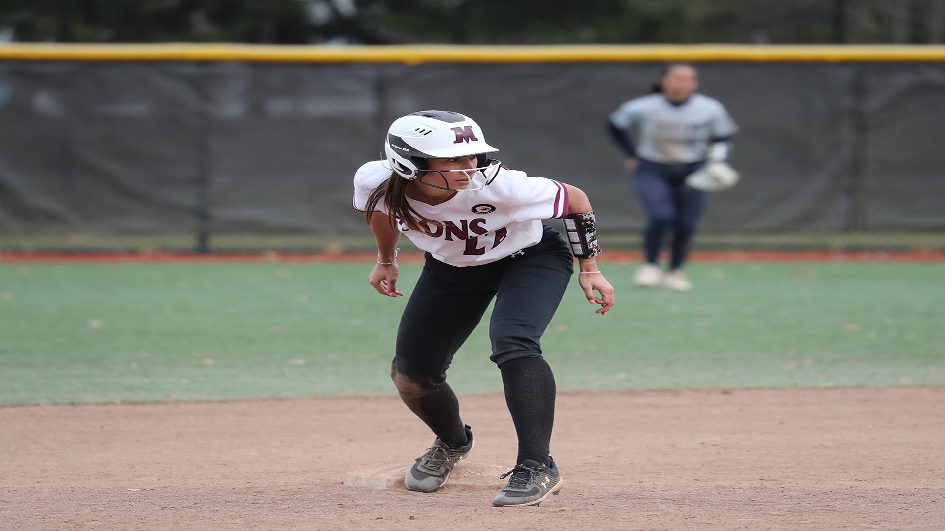 Softball Falls to D'Youville - Molloy University Athletics