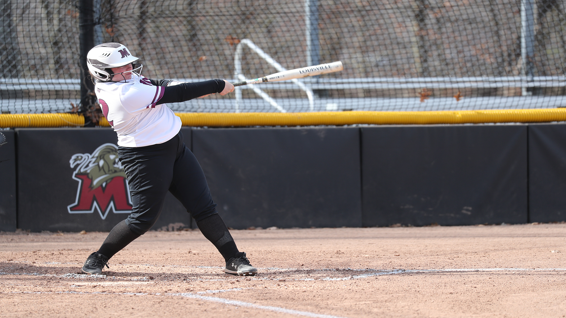 Softball Slips in Second Day of Spring Games - Molloy University Athletics