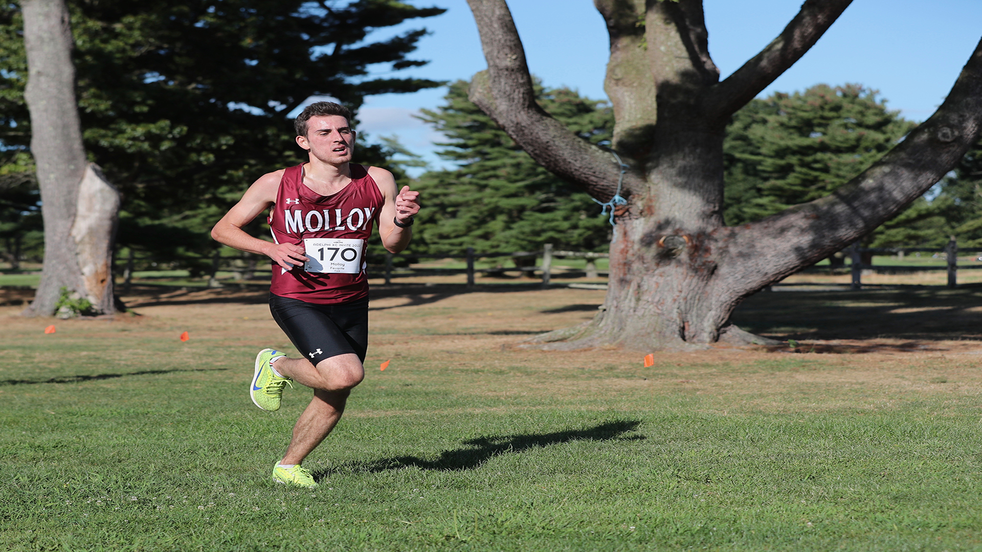 Frank Ferrante - Men's Cross Country - Molloy University Athletics