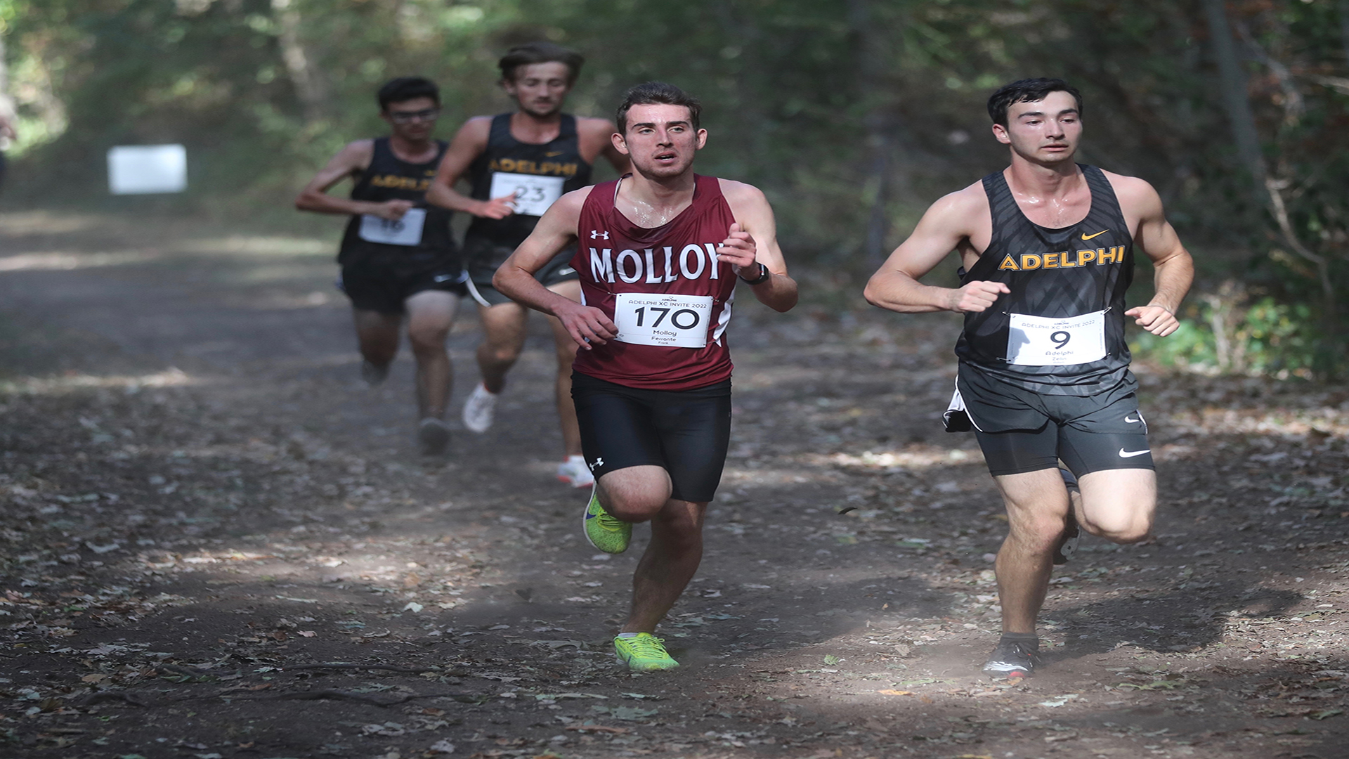 Frank Ferrante - Men's Cross Country - Molloy University Athletics
