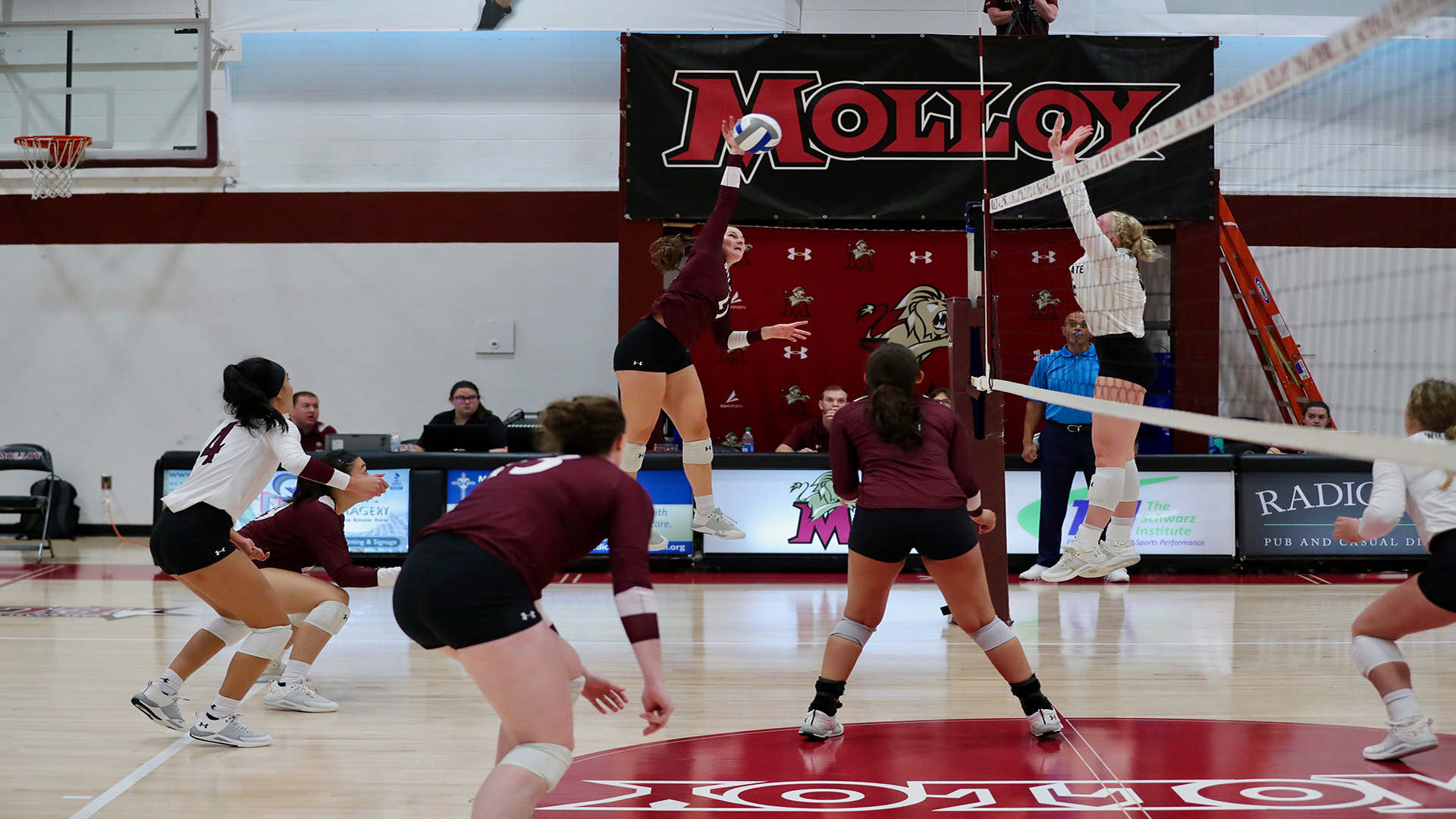 Doherty's 16 Kills Leads Volleyball Past SCSU on Senior Day - Molloy ...