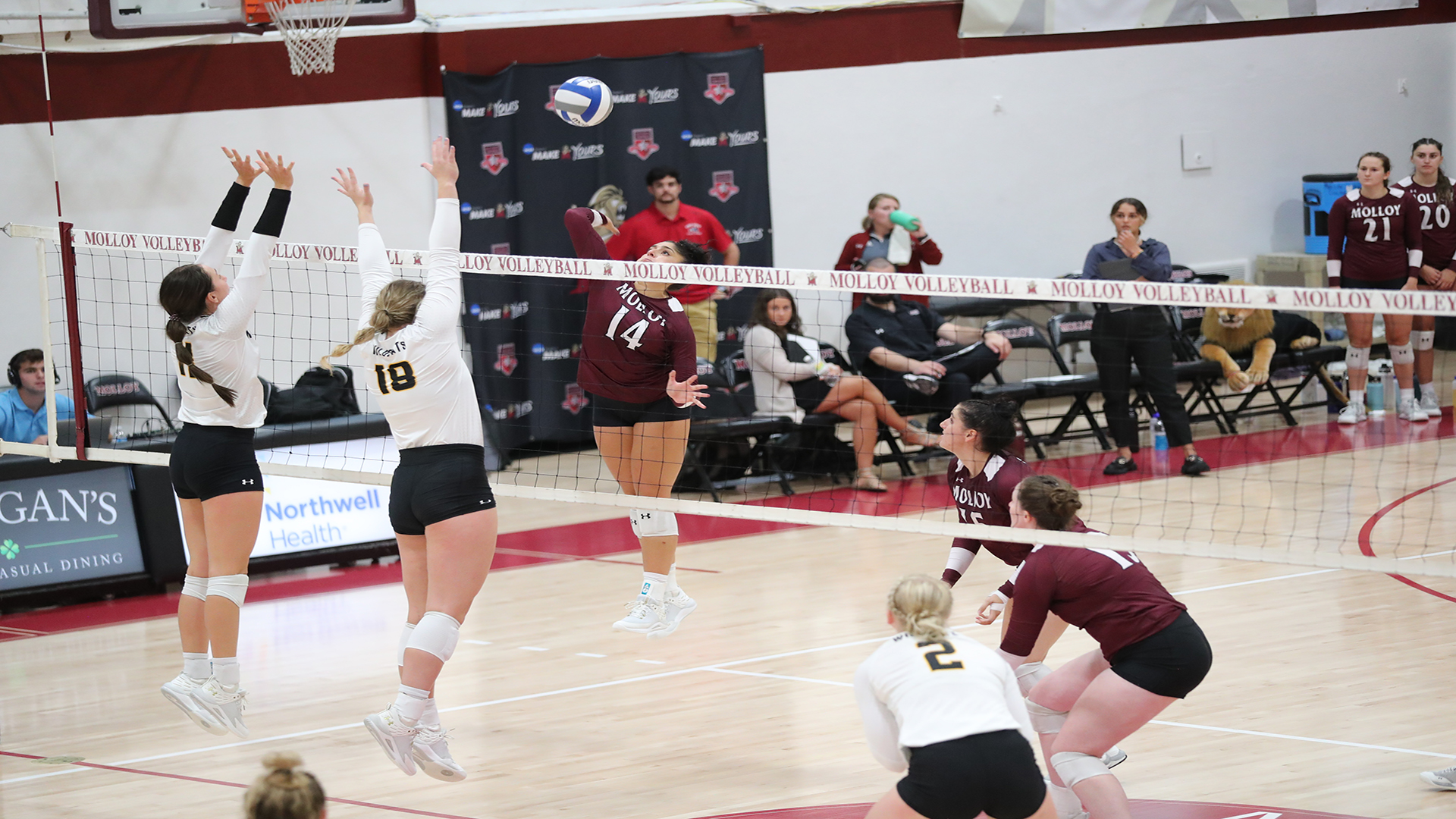 Roth Notches Double-Double in Volleyball Loss at Queens - Molloy ...