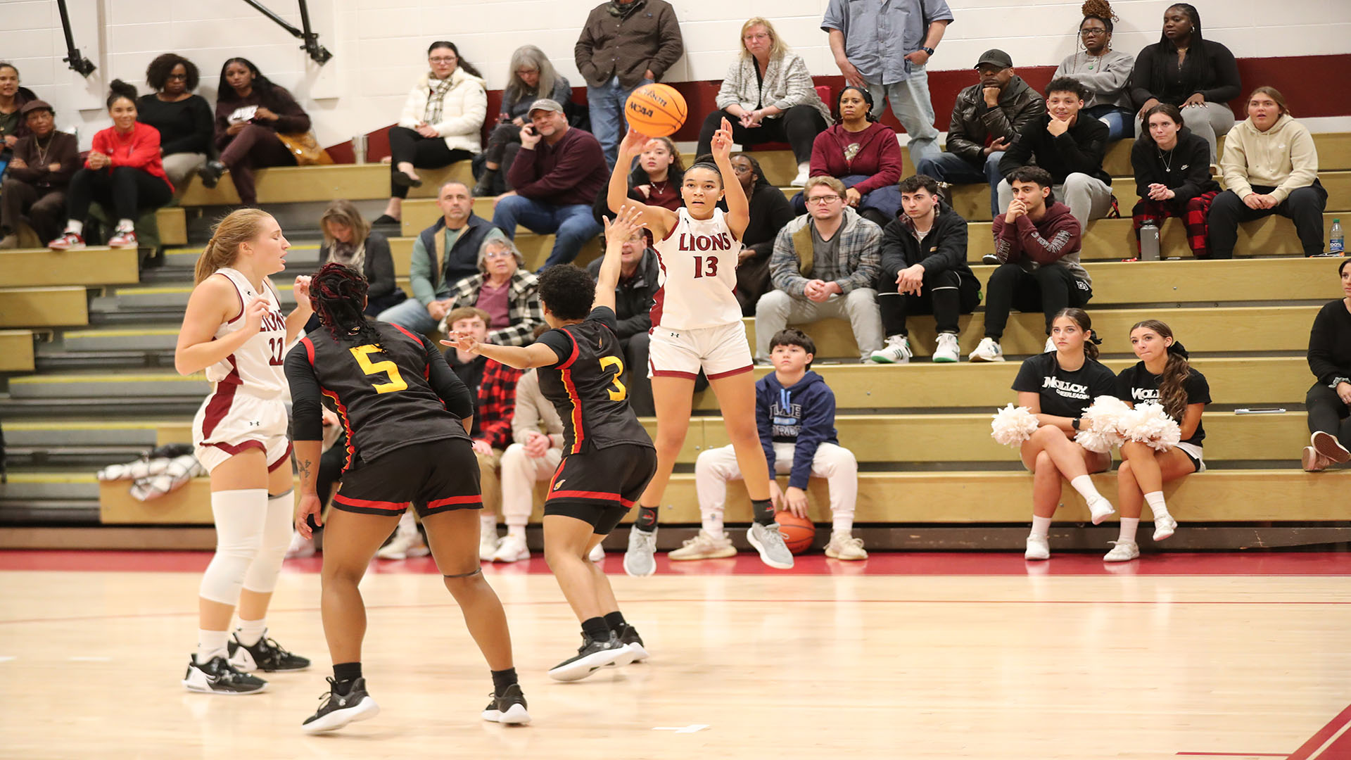 Trinity Hudson - Women's Basketball - Molloy University Athletics