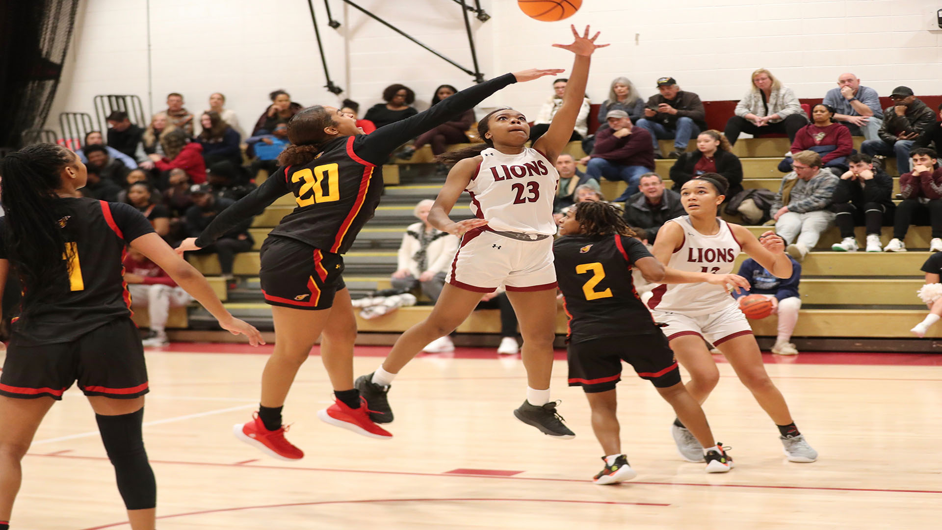 Brianna James - Women's Basketball - Molloy University Athletics