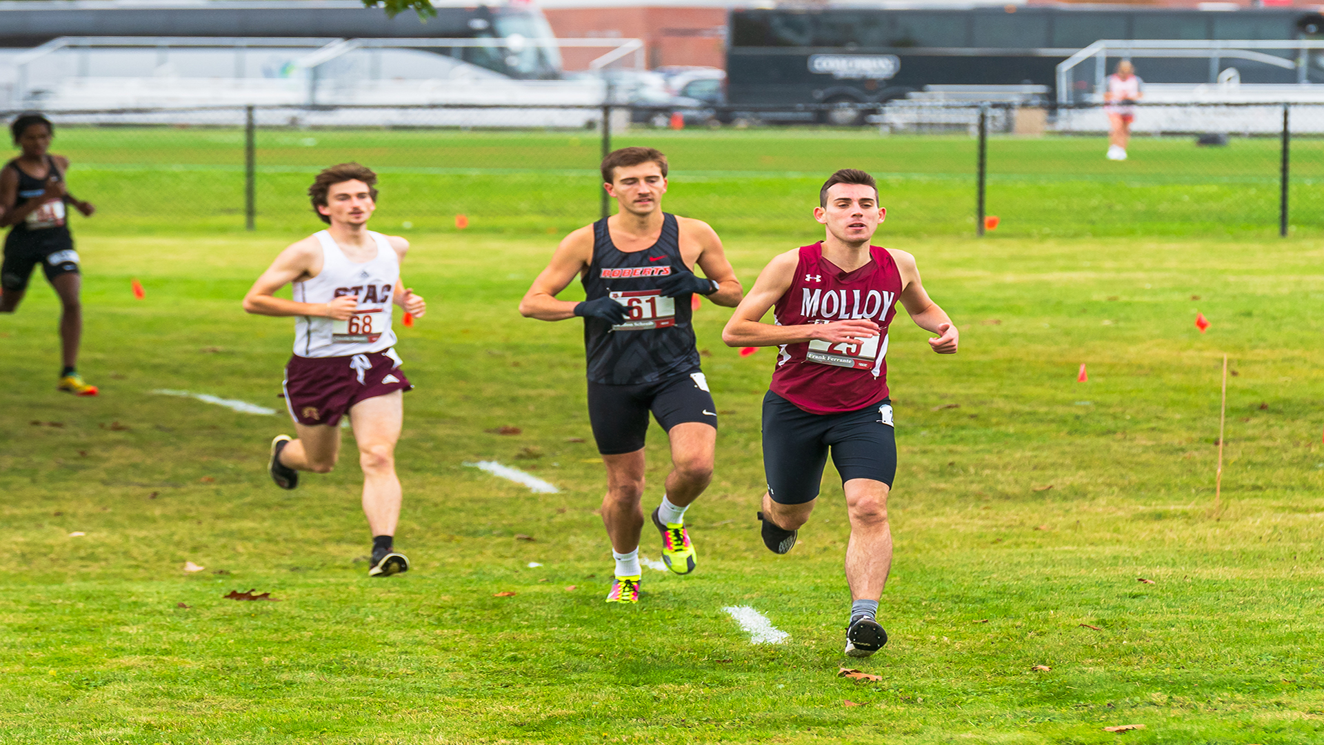 Frank Ferrante - Men's Cross Country - Molloy University Athletics